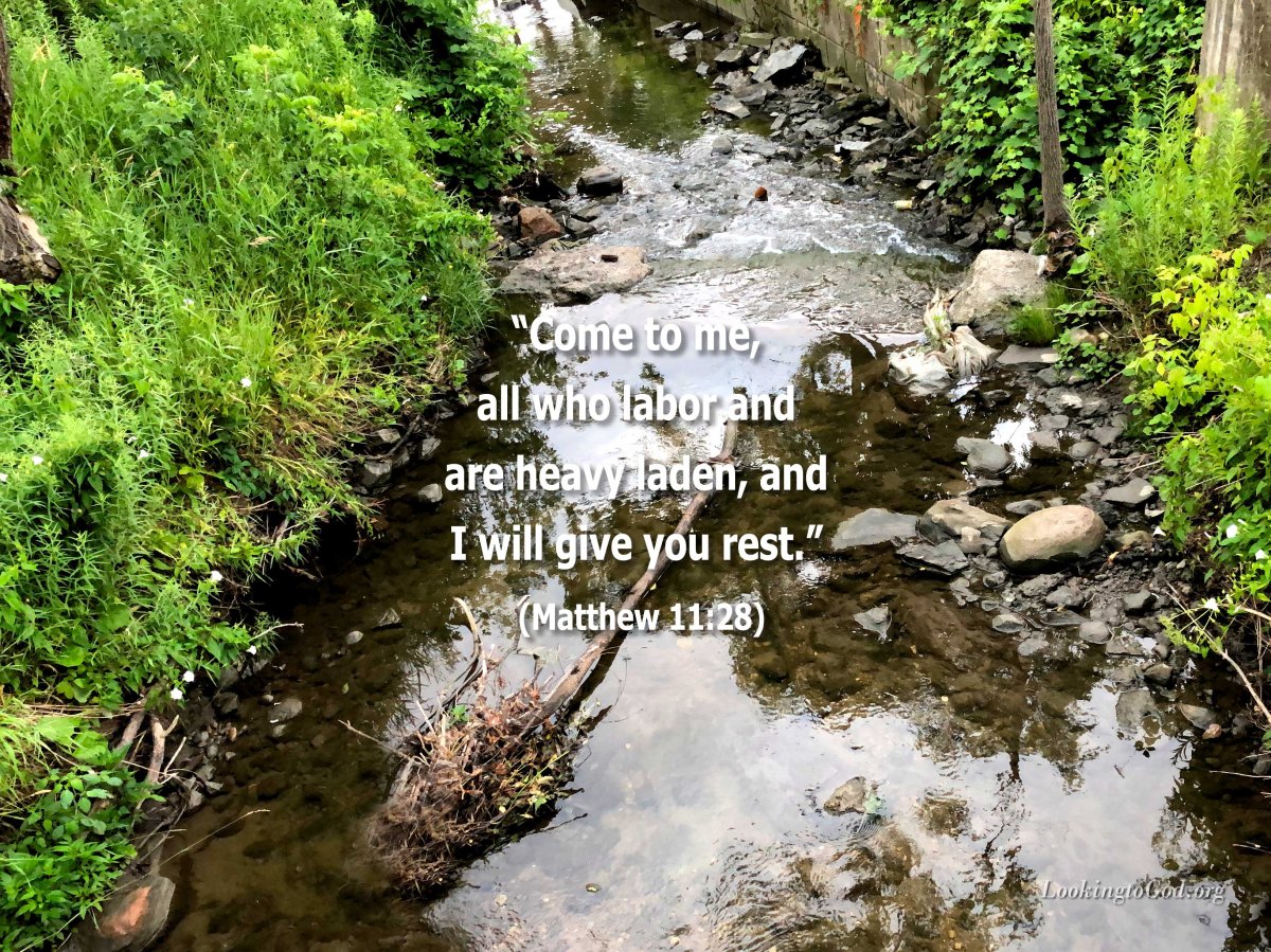 Rest in the Lord – Looking to God