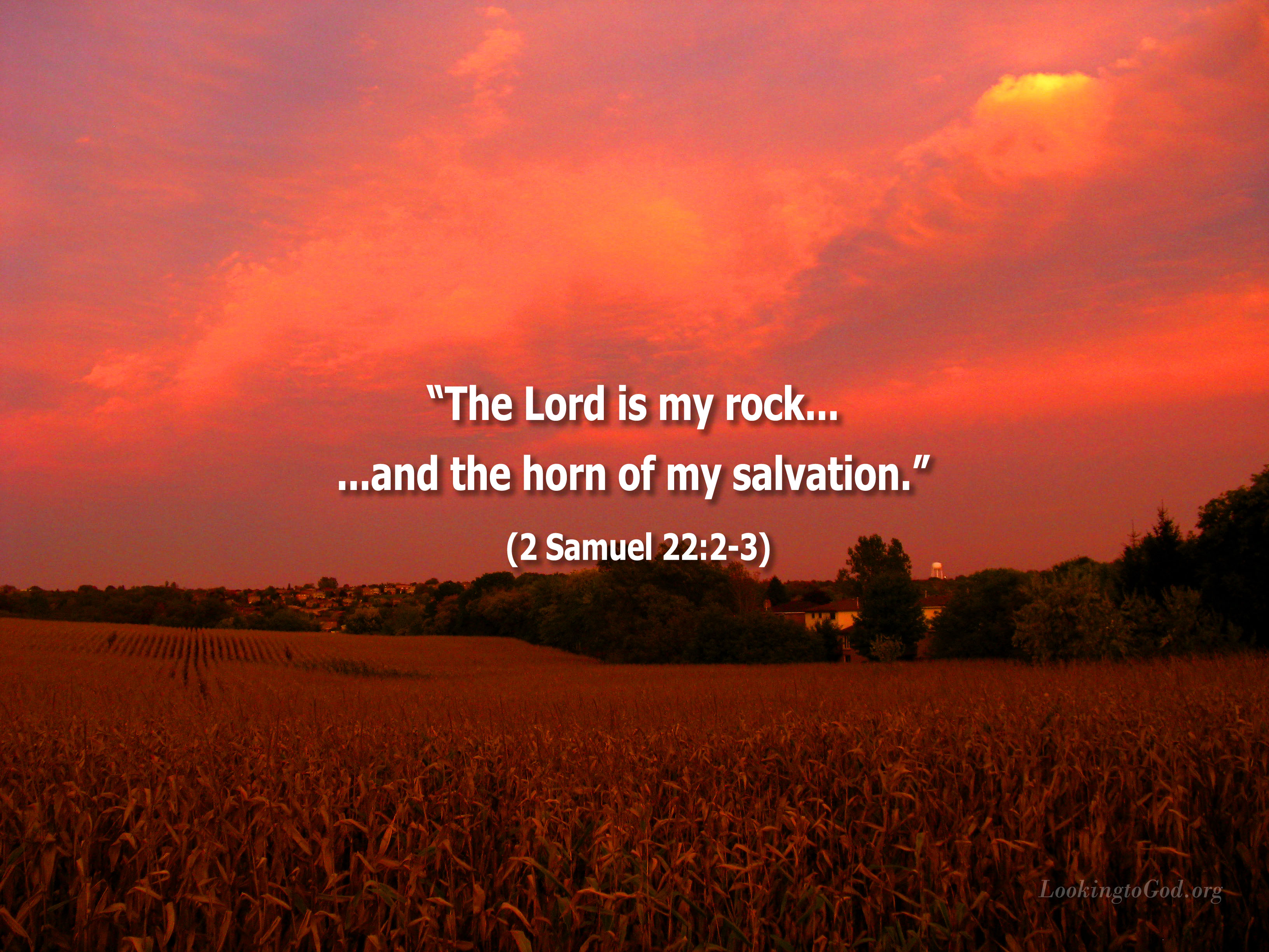 The Lord Is Our Salvation – Looking to God
