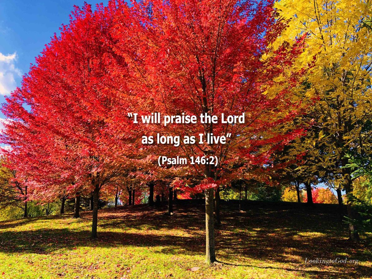 Praise God – Looking to God