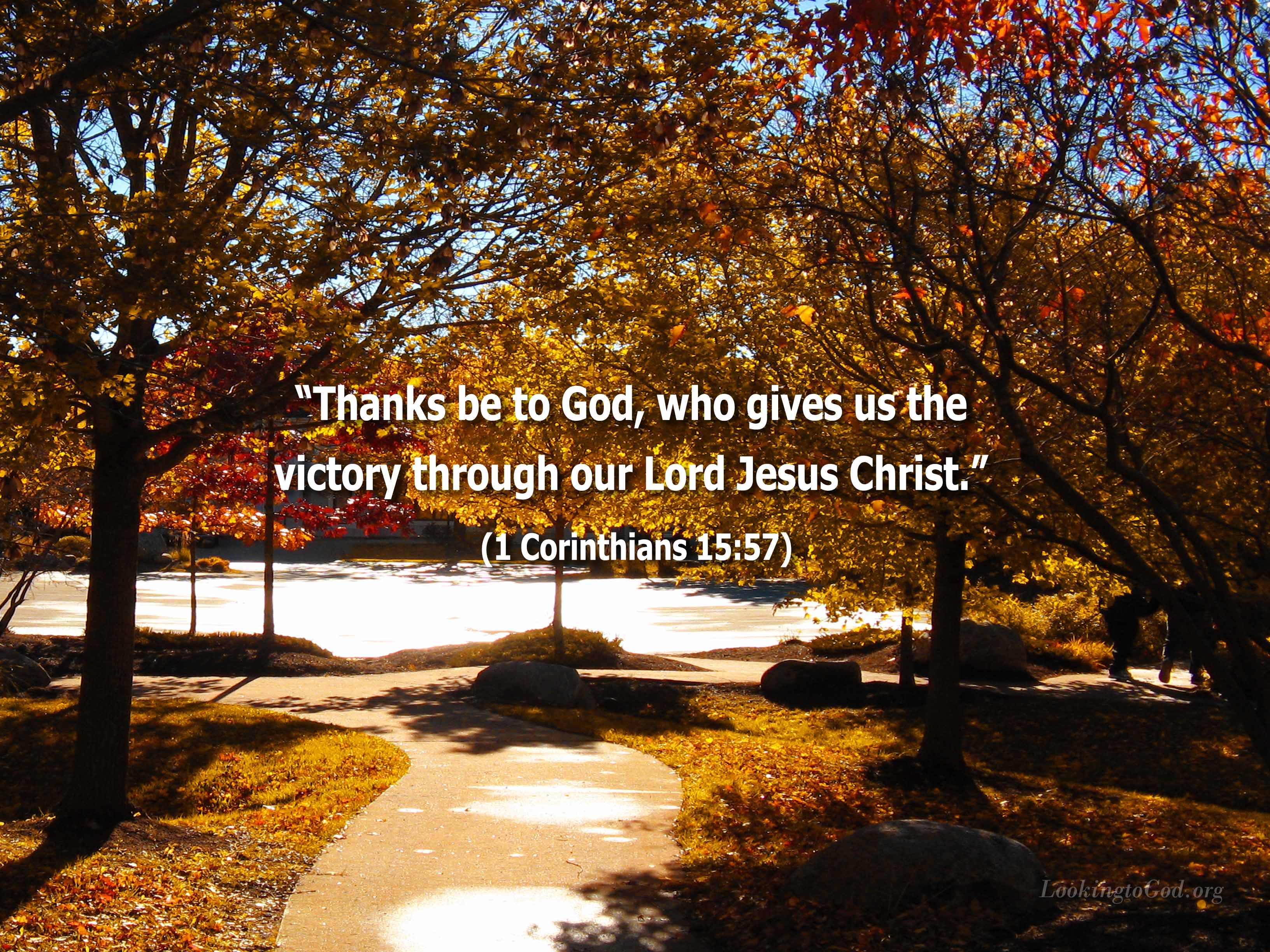 Thanks Be to God – Looking to God