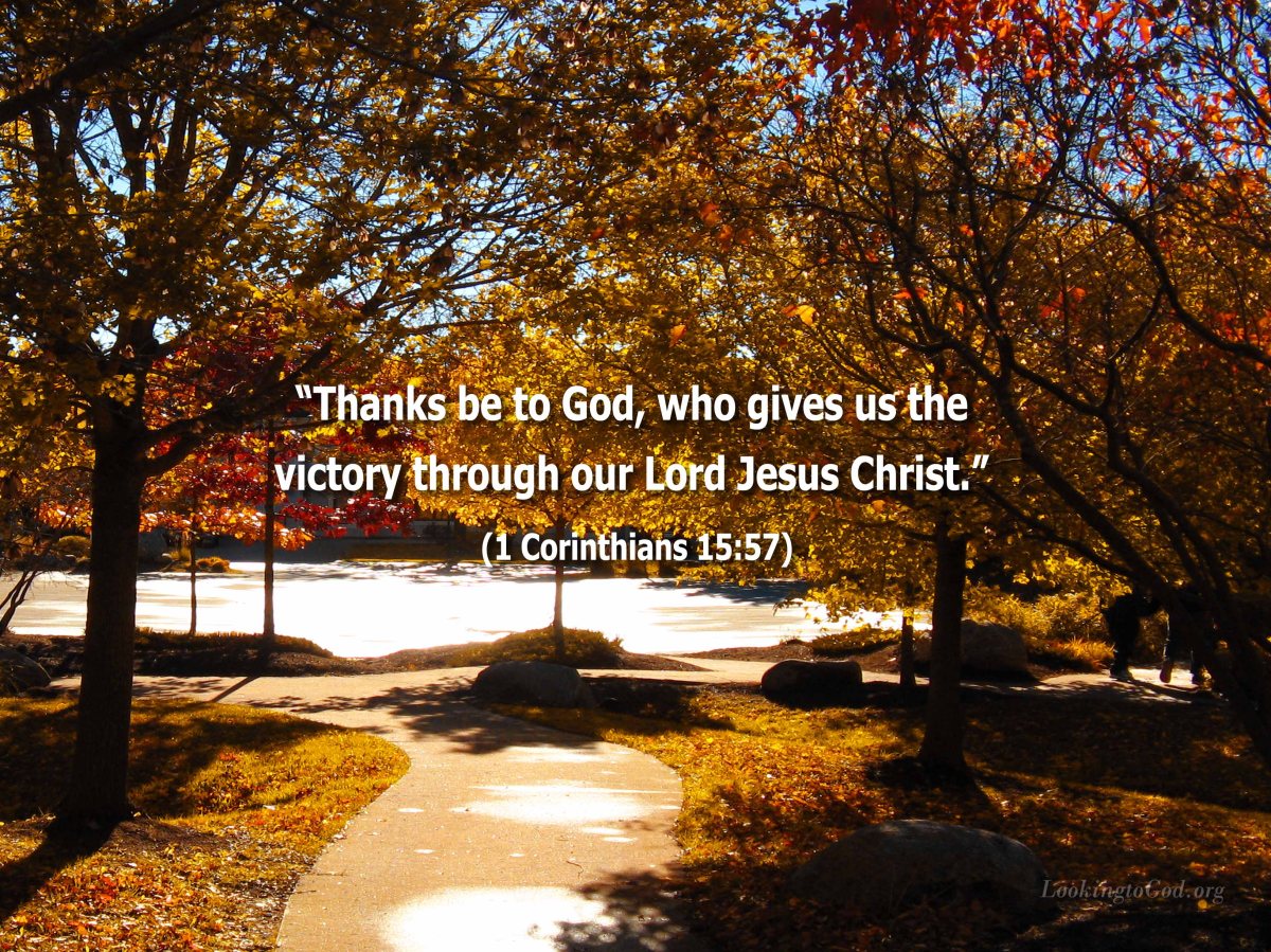 Thanks Be to God – Looking to God