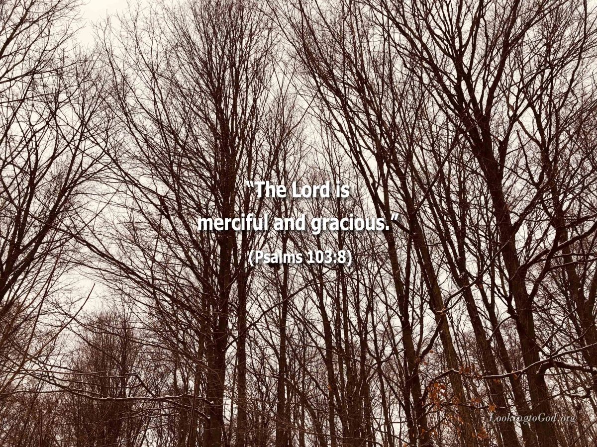 The Lord Is Gracious – Looking to God