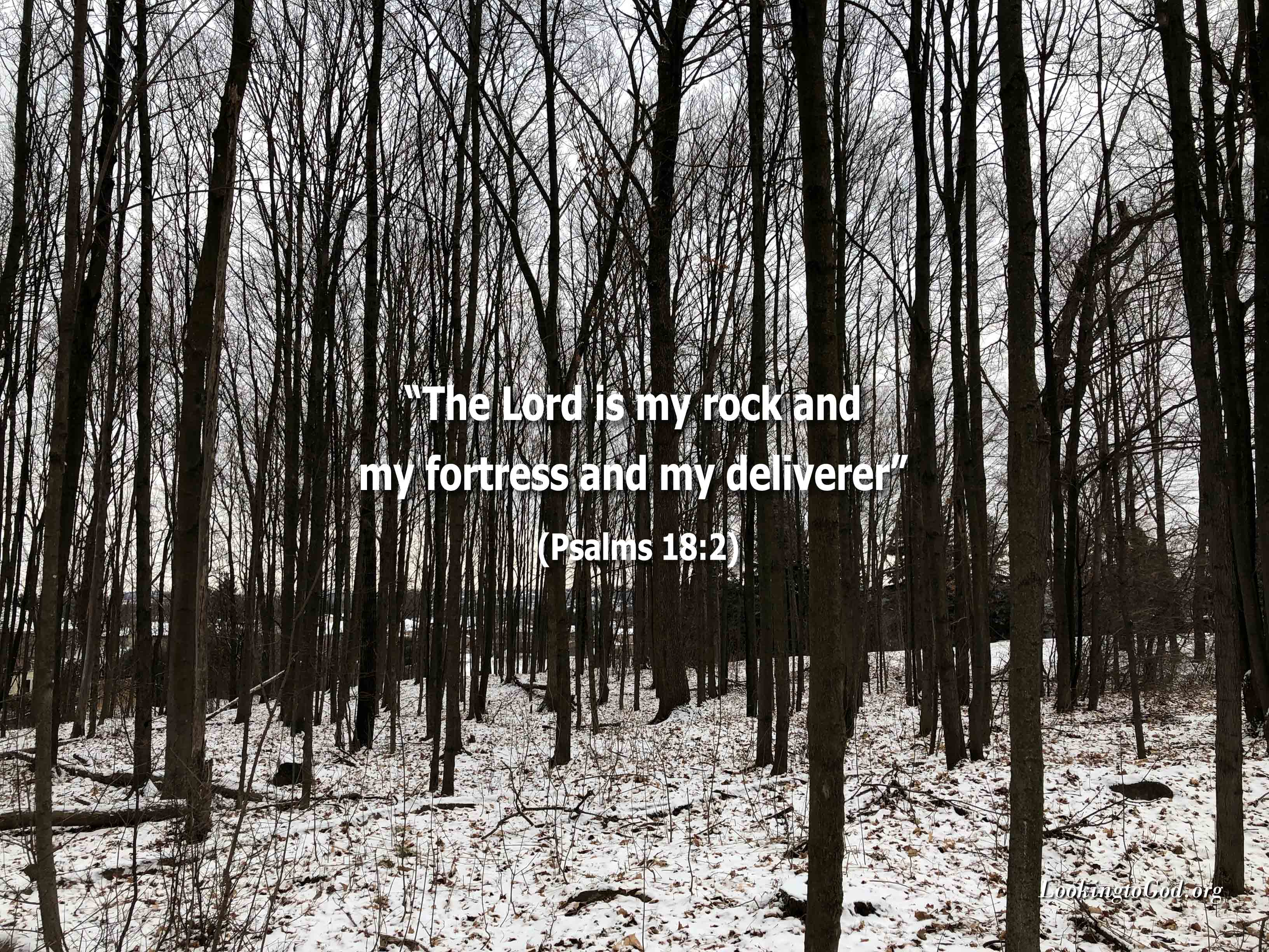 God Is Our Deliverer – Looking to God