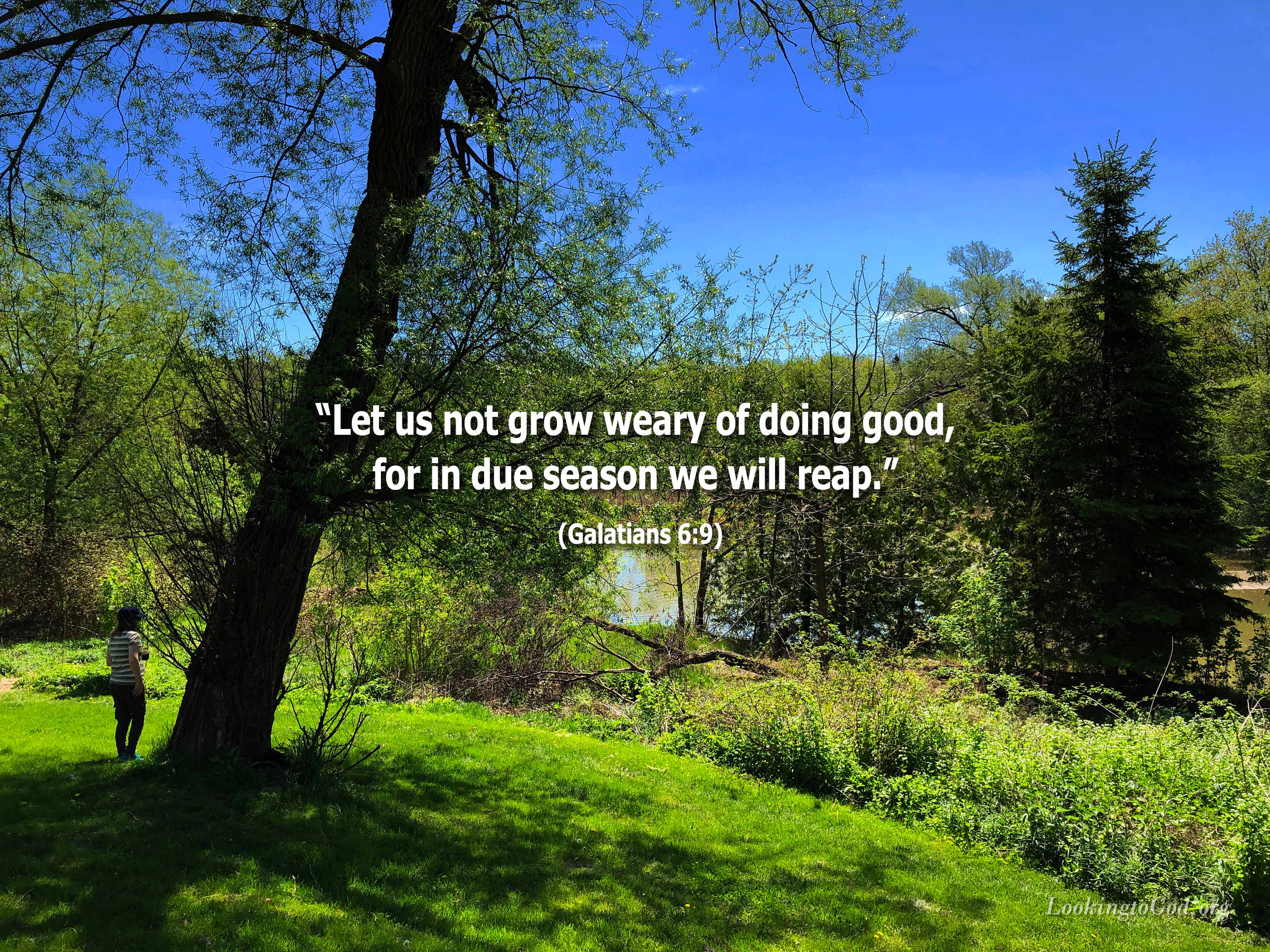 Do Good Without Ceasing – Looking to God