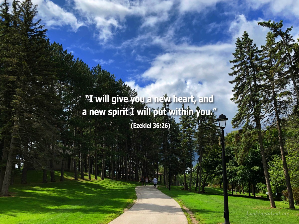 God’s Spirit Is Our Spirit – Looking to God