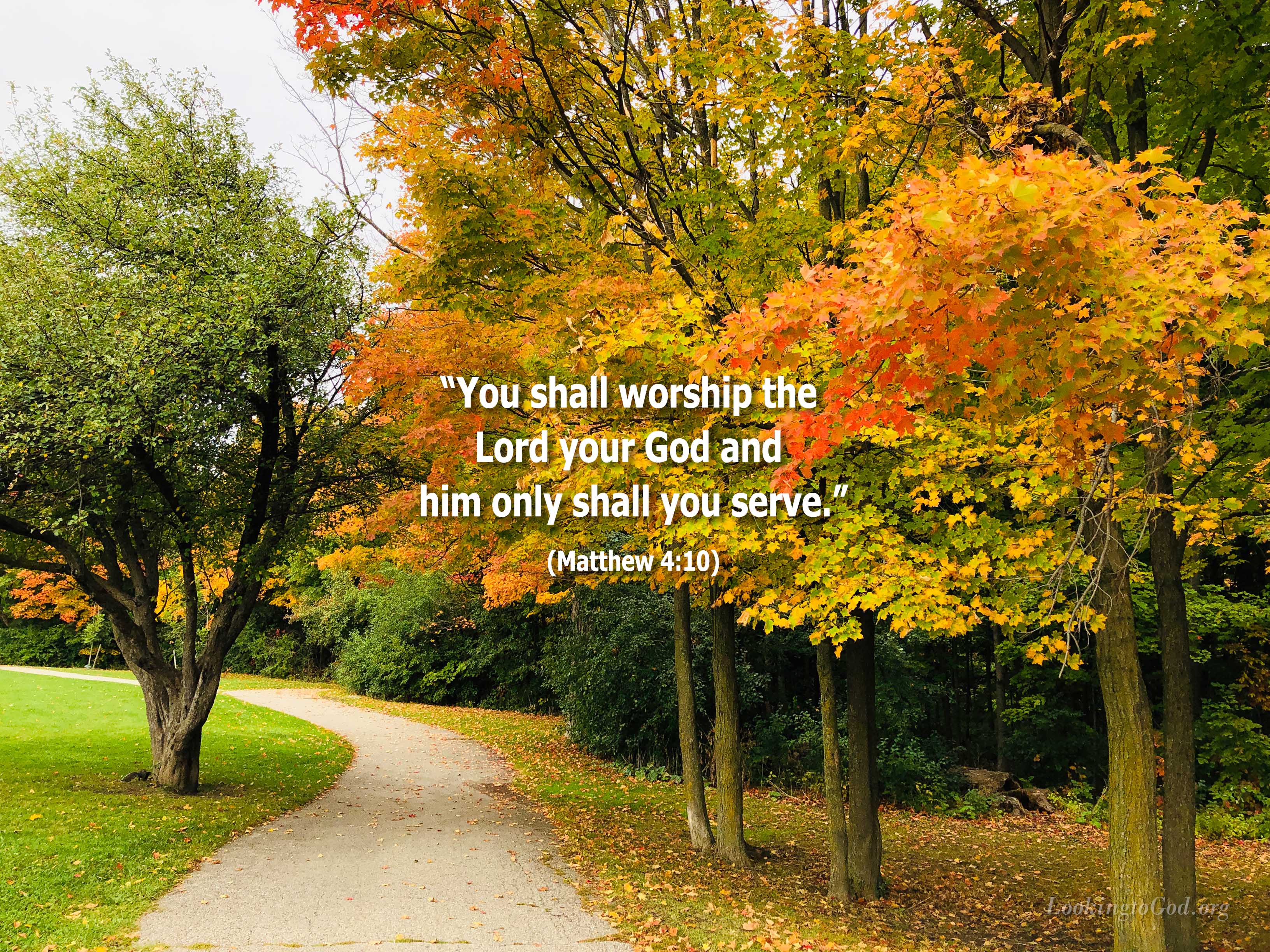 Worship God Alone – Looking to God