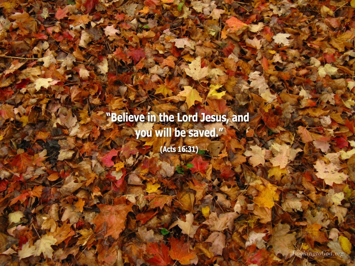 Believe in the Lord Jesus – Looking to God