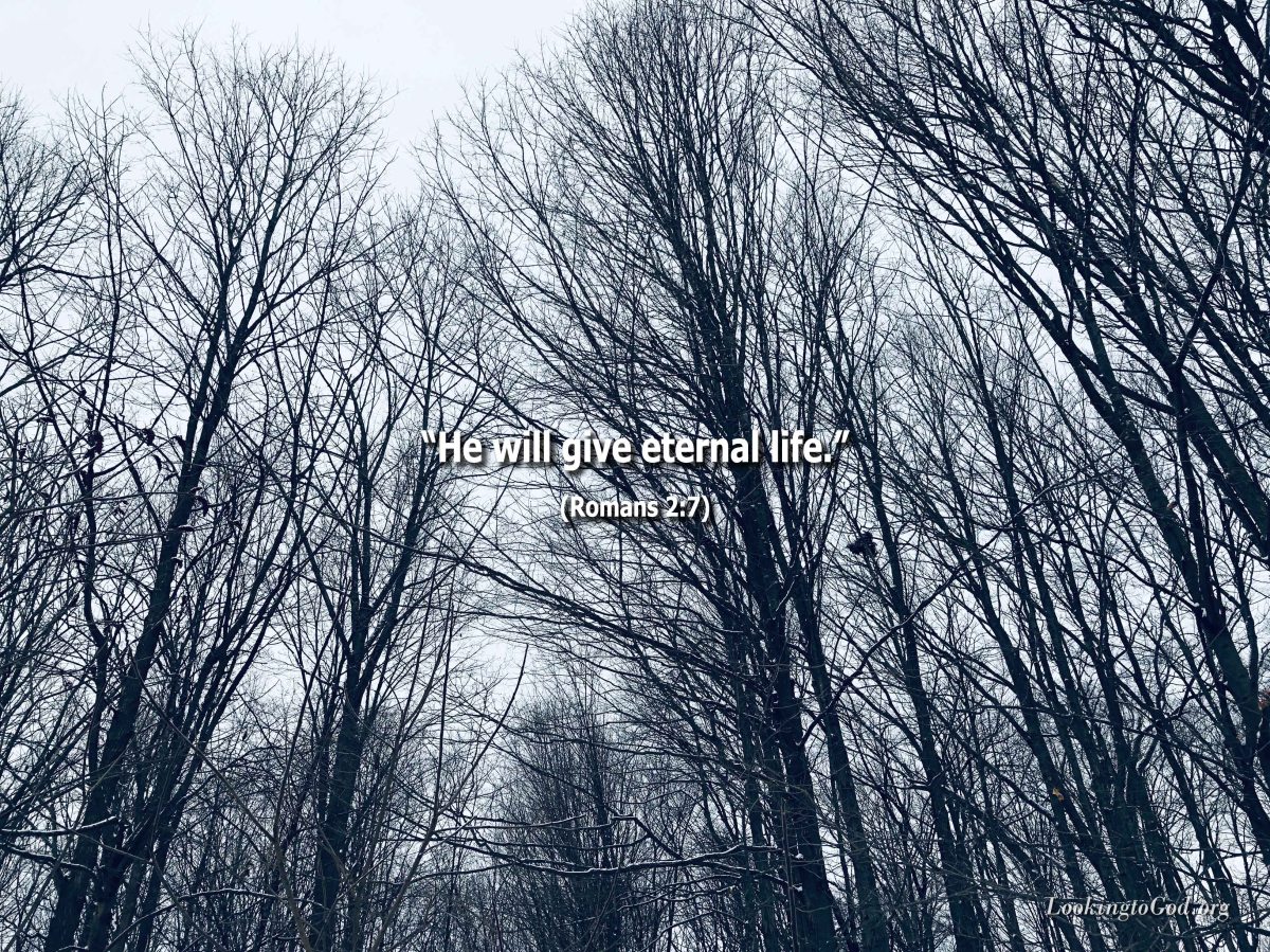 Do Good to All – Looking to God