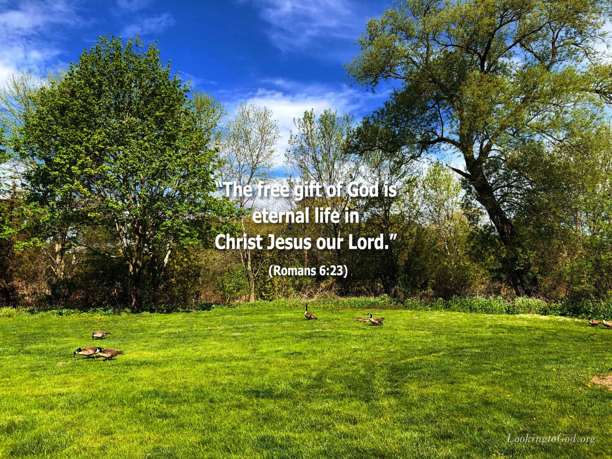 The Gift of God Is Life – Looking to God