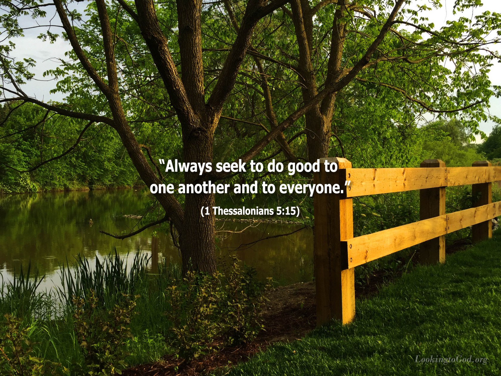 Do Good to Others – Looking to God