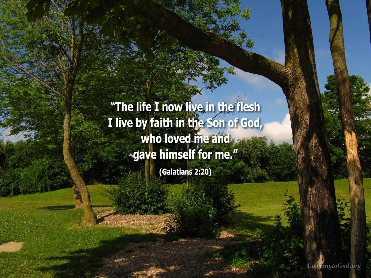 Christ Lives in Us – Looking to God