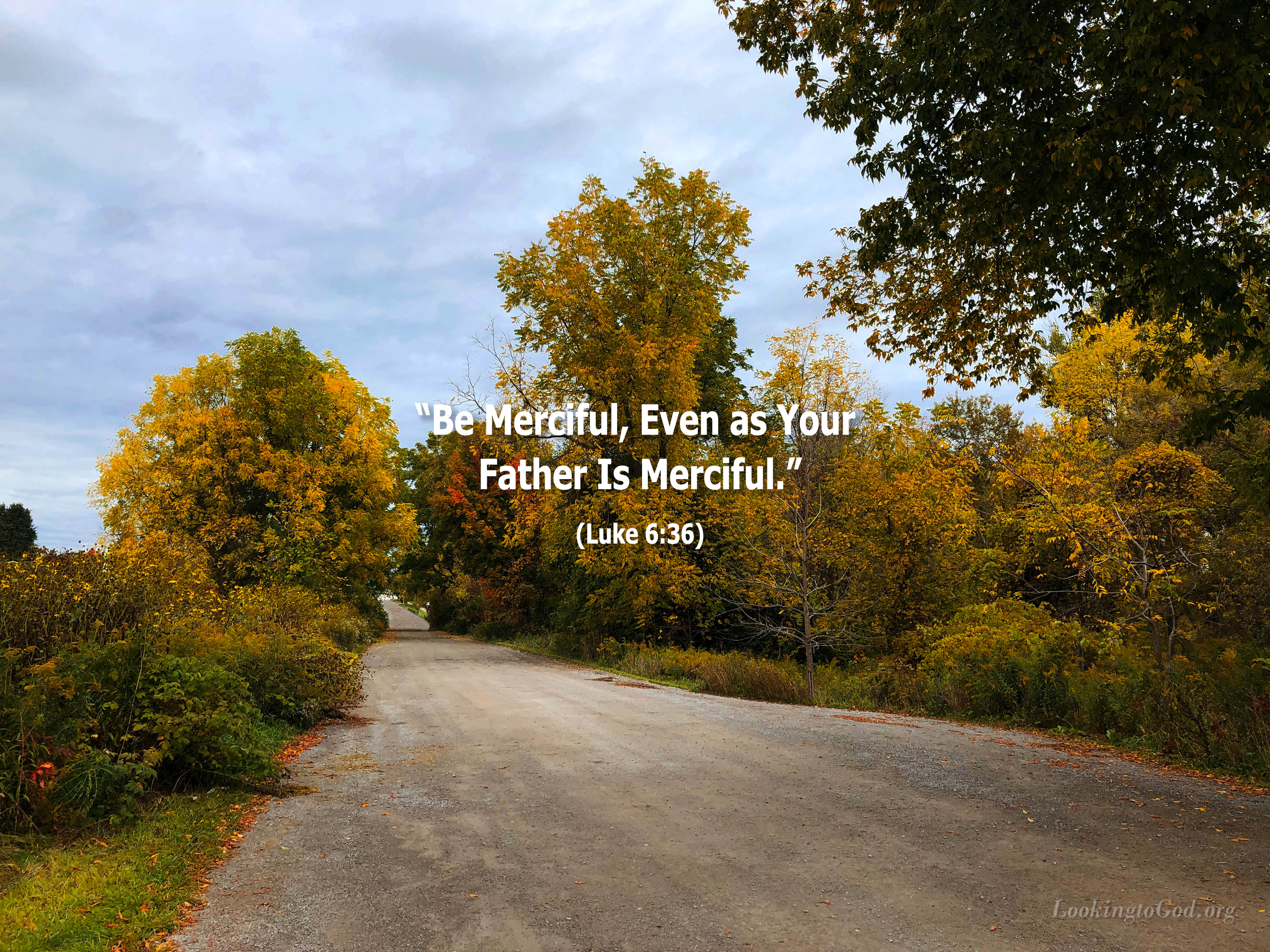 Be Merciful, Even as Your Father Is Merciful – Looking to God