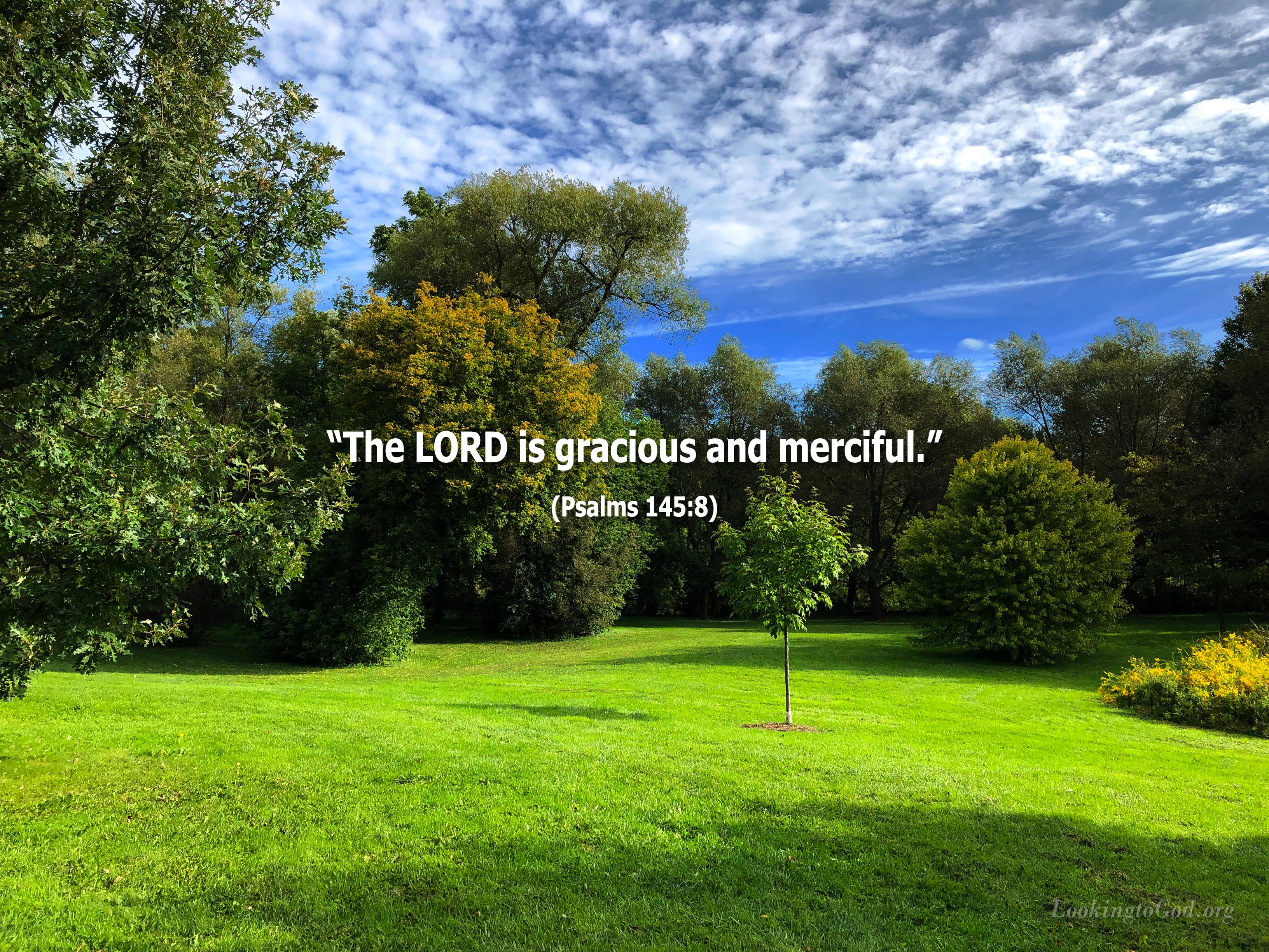 The LORD Is Gracious and Merciful – Looking to God