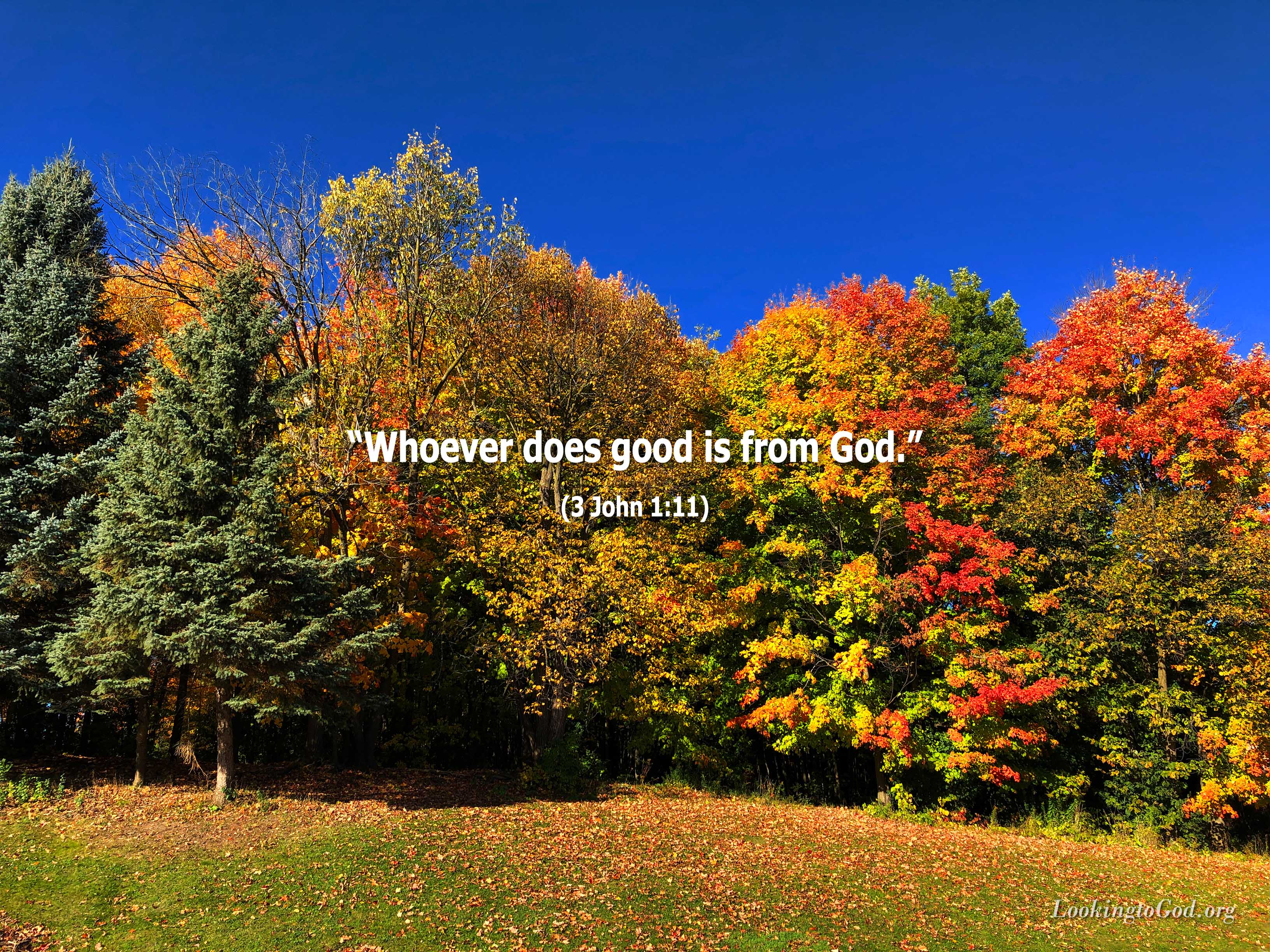Whoever Does Good Is from God – Looking to God