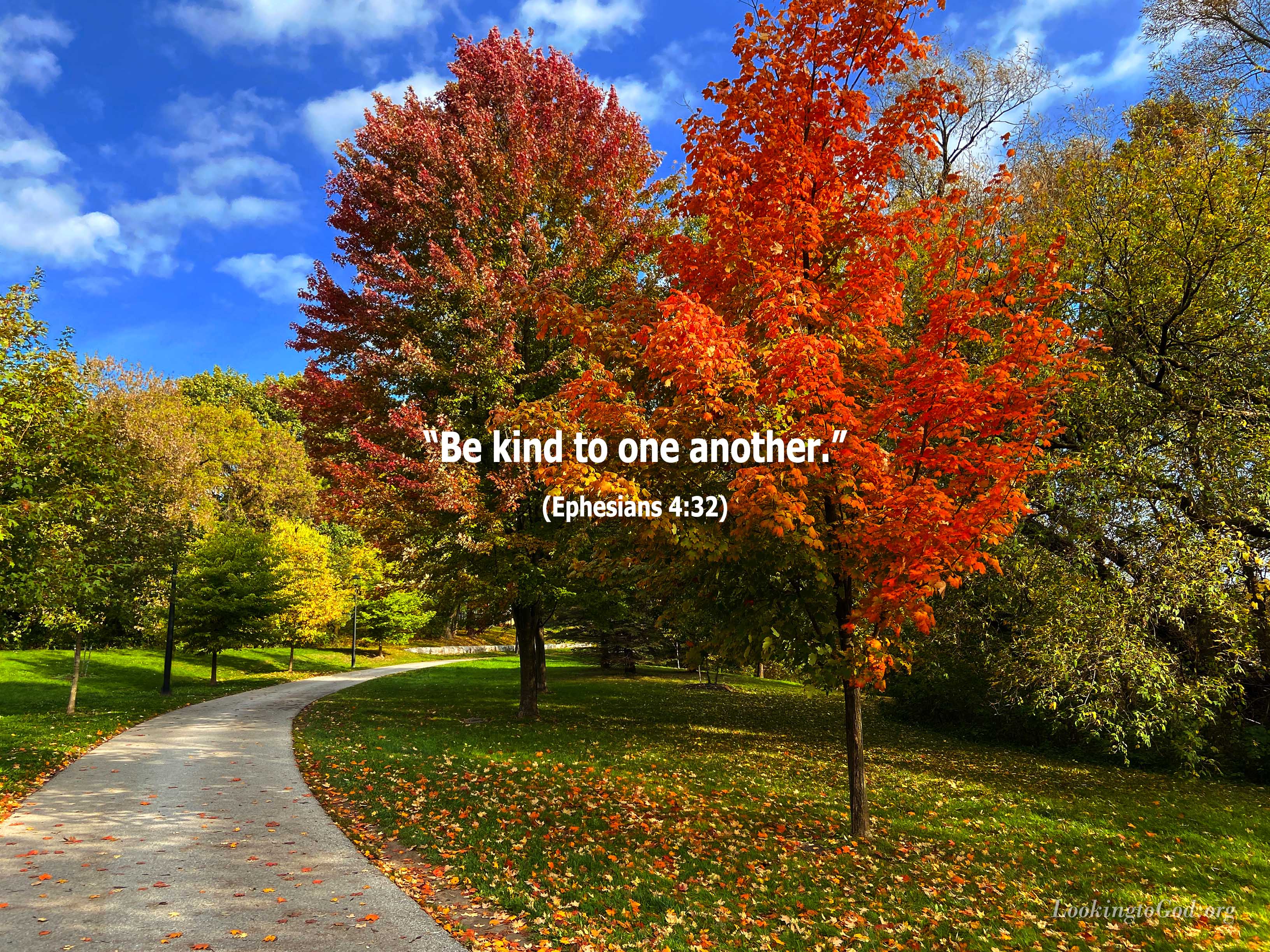 Be Kind to One Another – Looking to God