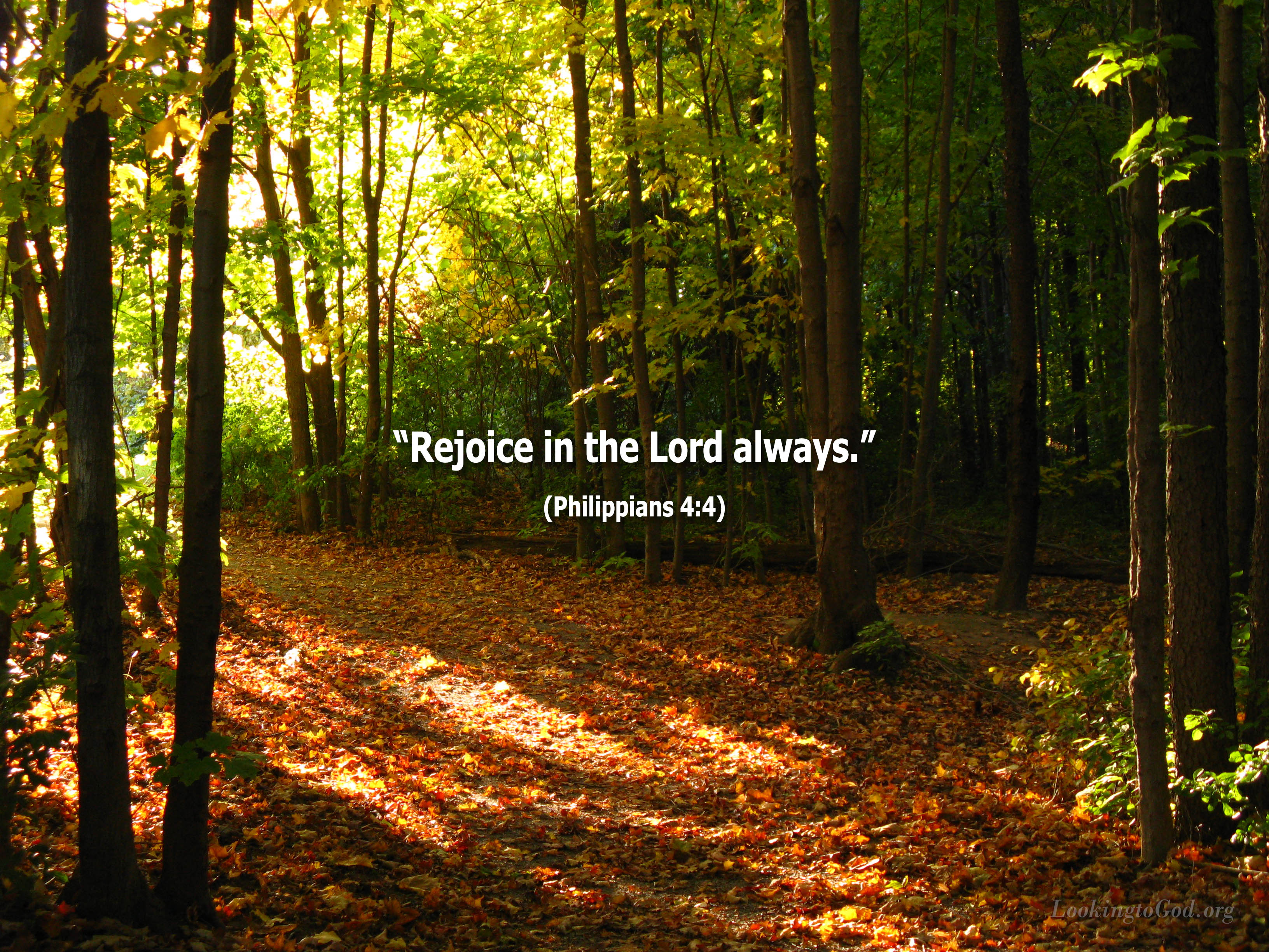 Rejoice in the Lord Always – Looking to God