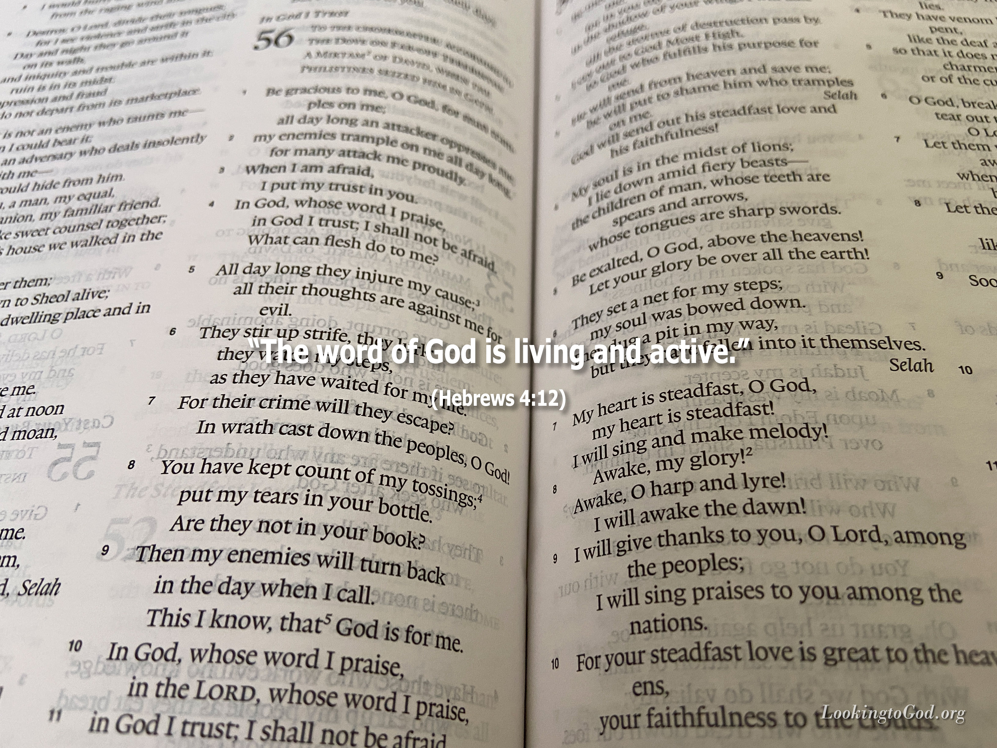 The Word of God Is Living and Active – Looking to God
