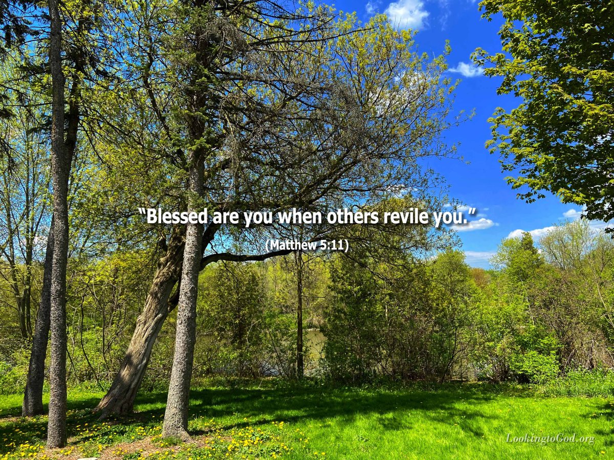 Blessed Are You When Others Revile You – Looking to God