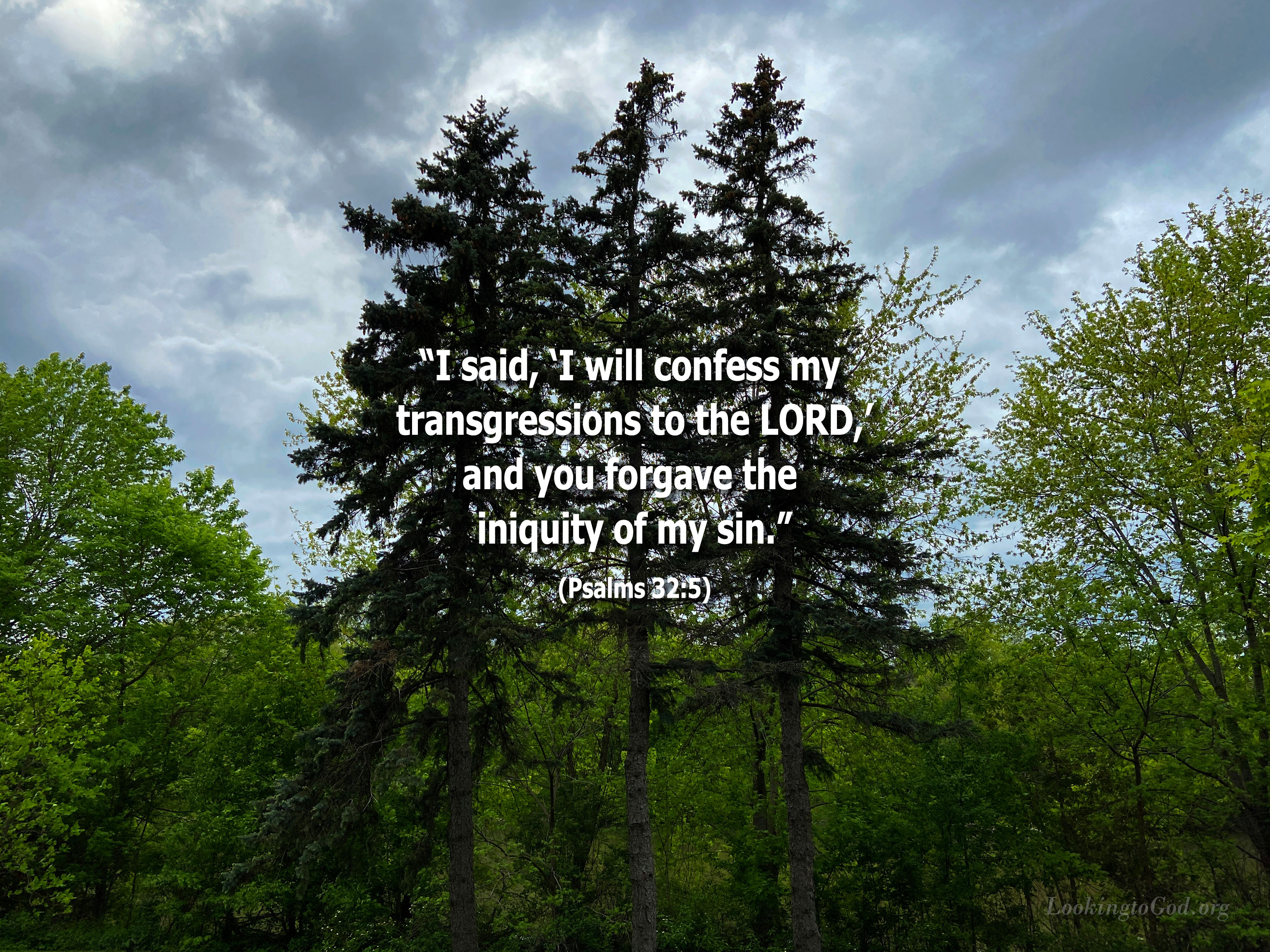 You Forgave the Iniquity of My Sin – Looking to God