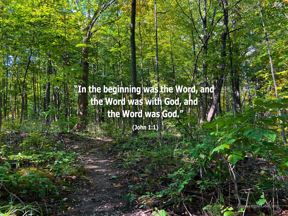 The Word Was God – Looking to God