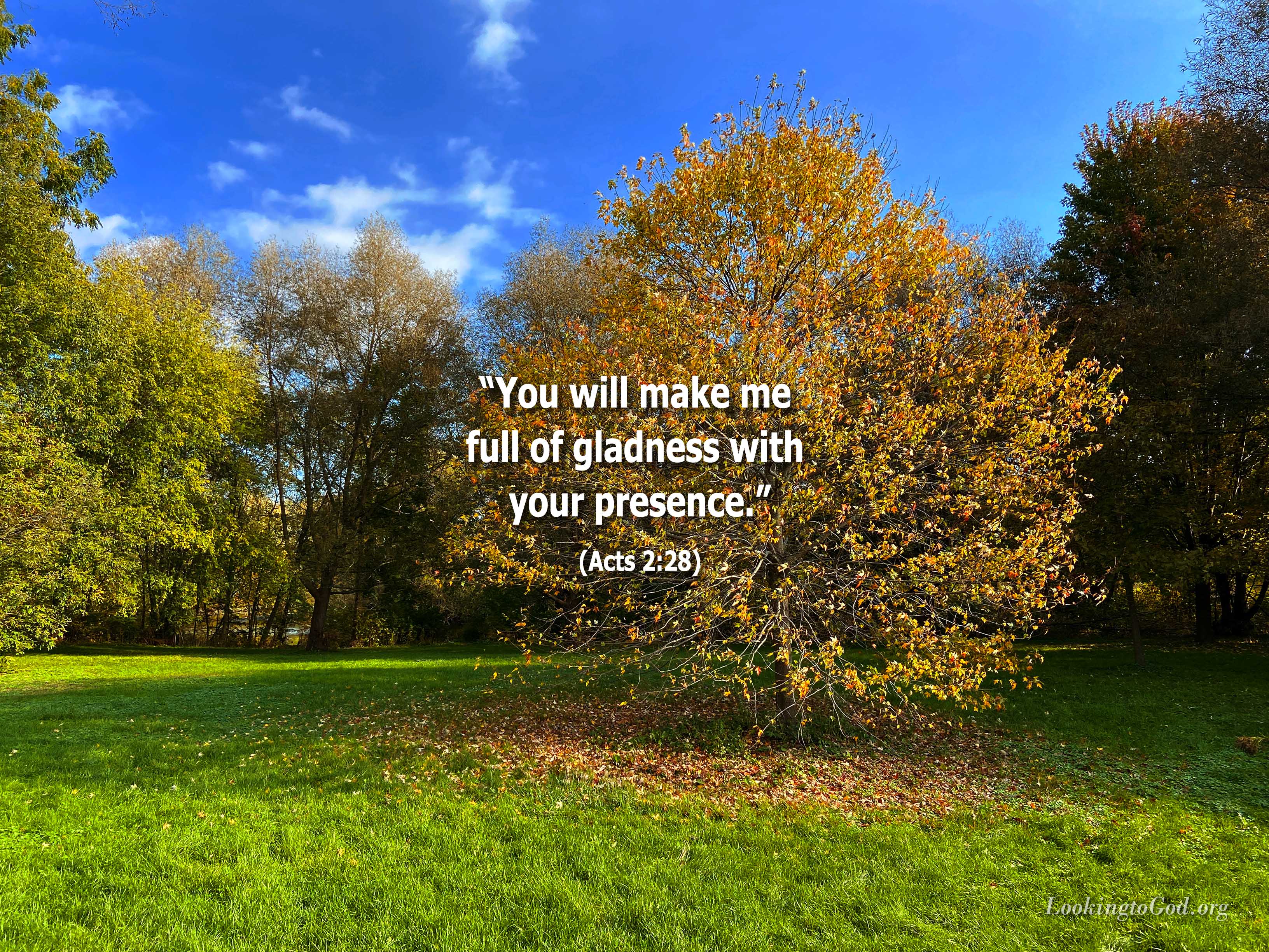 He Will Make Us Full of Gladness – Looking to God