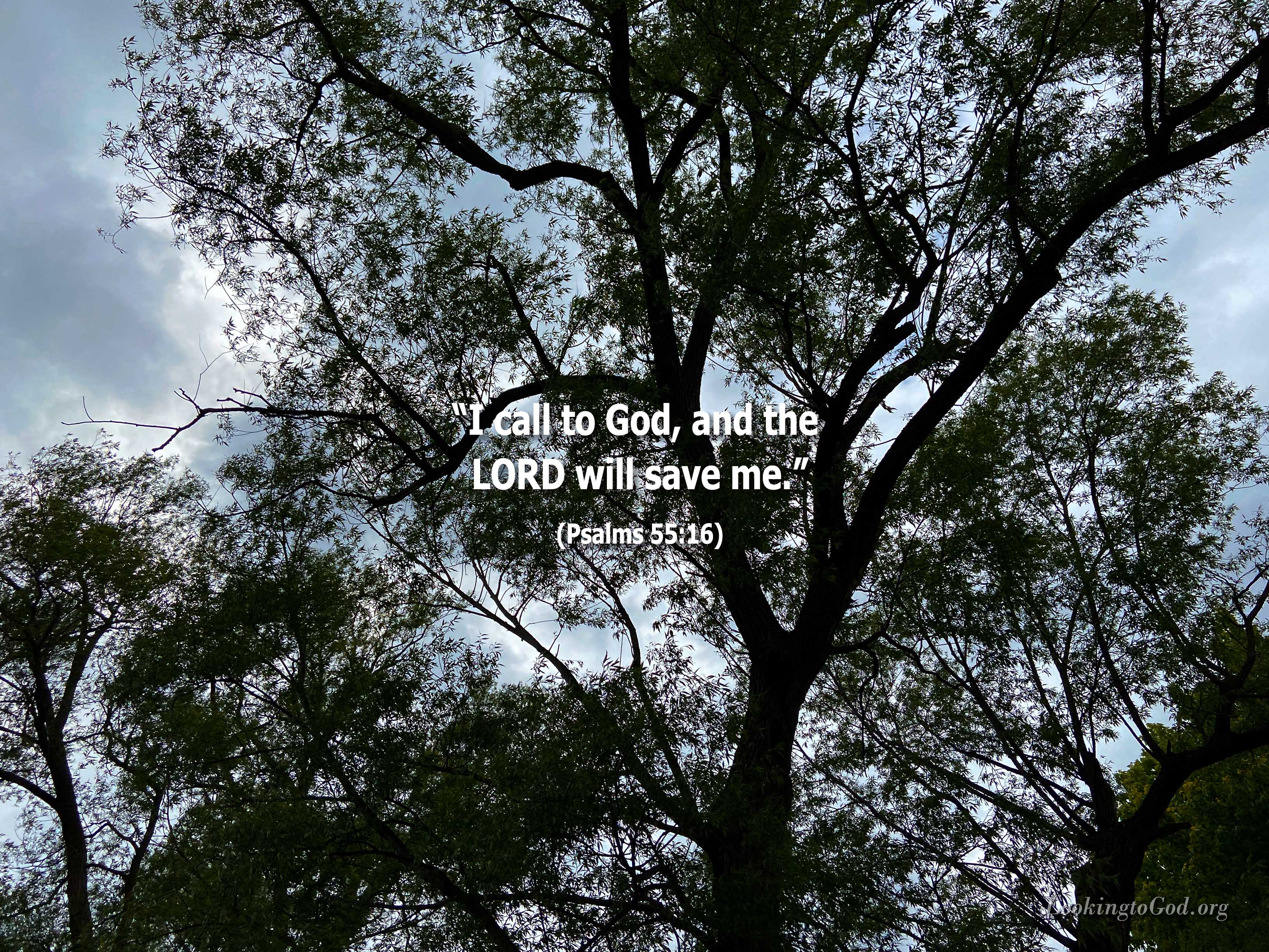 The Lord Will Save Us – Looking to God
