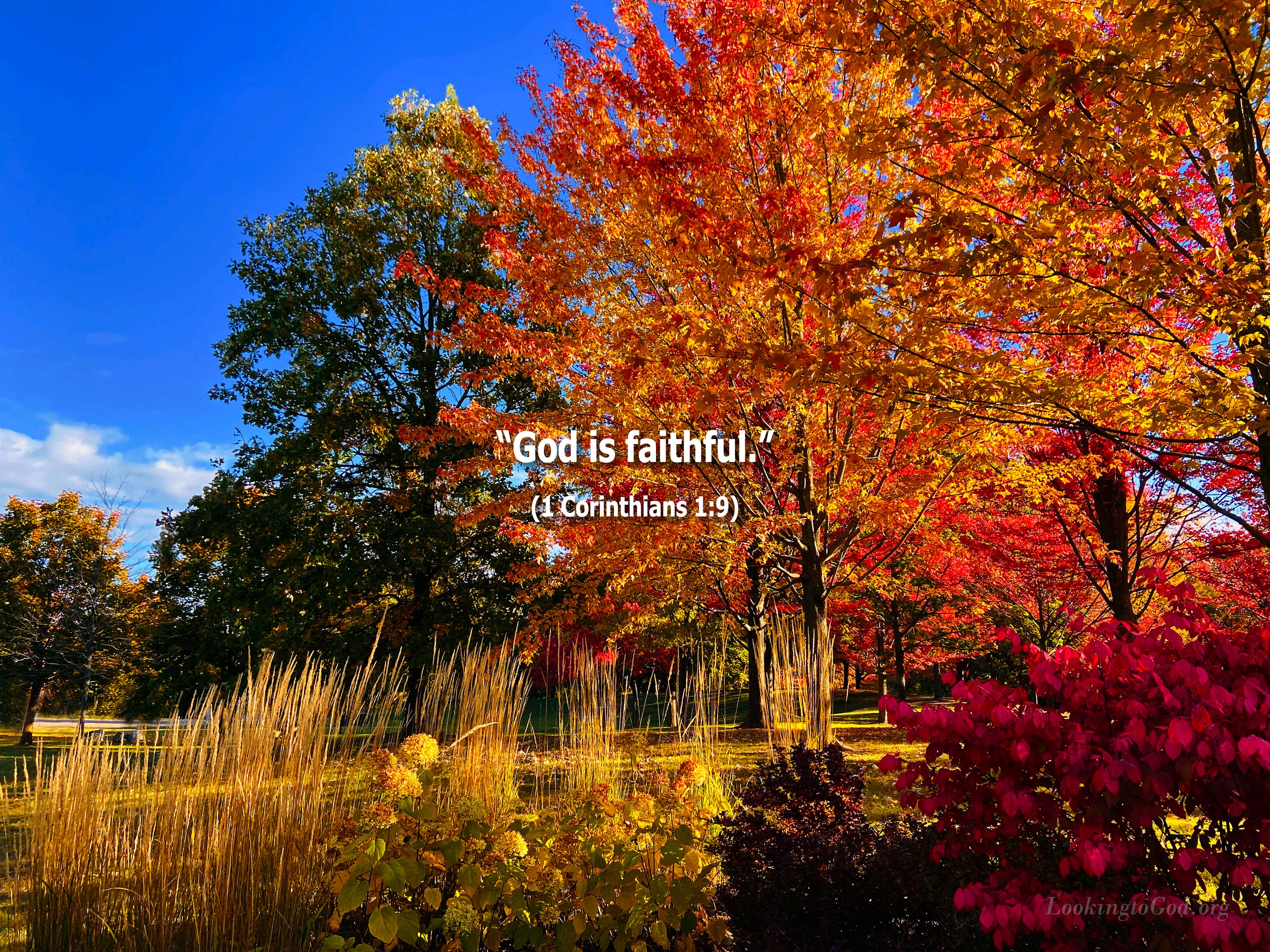 God Is Faithful – Looking to God