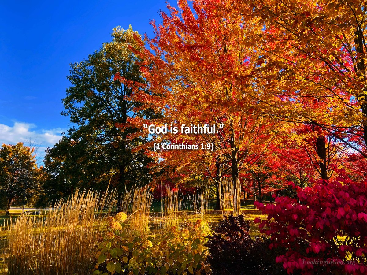 God Is Faithful – Looking to God