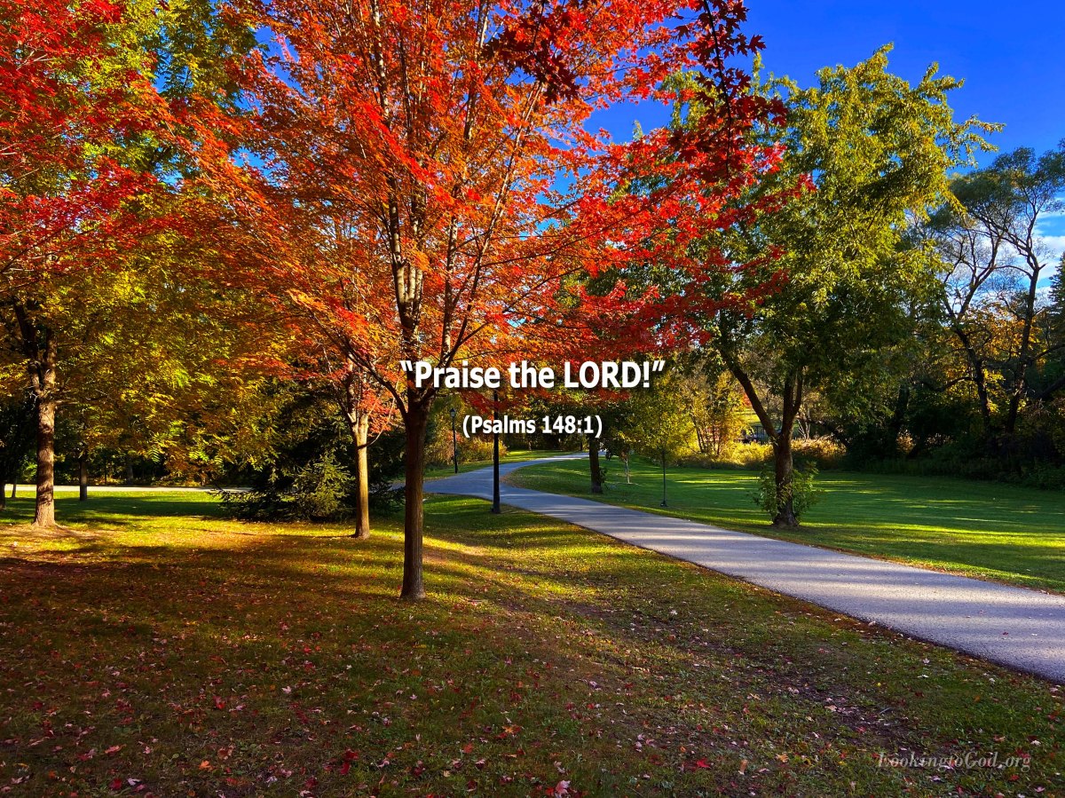 Praise the Lord! – Looking to God