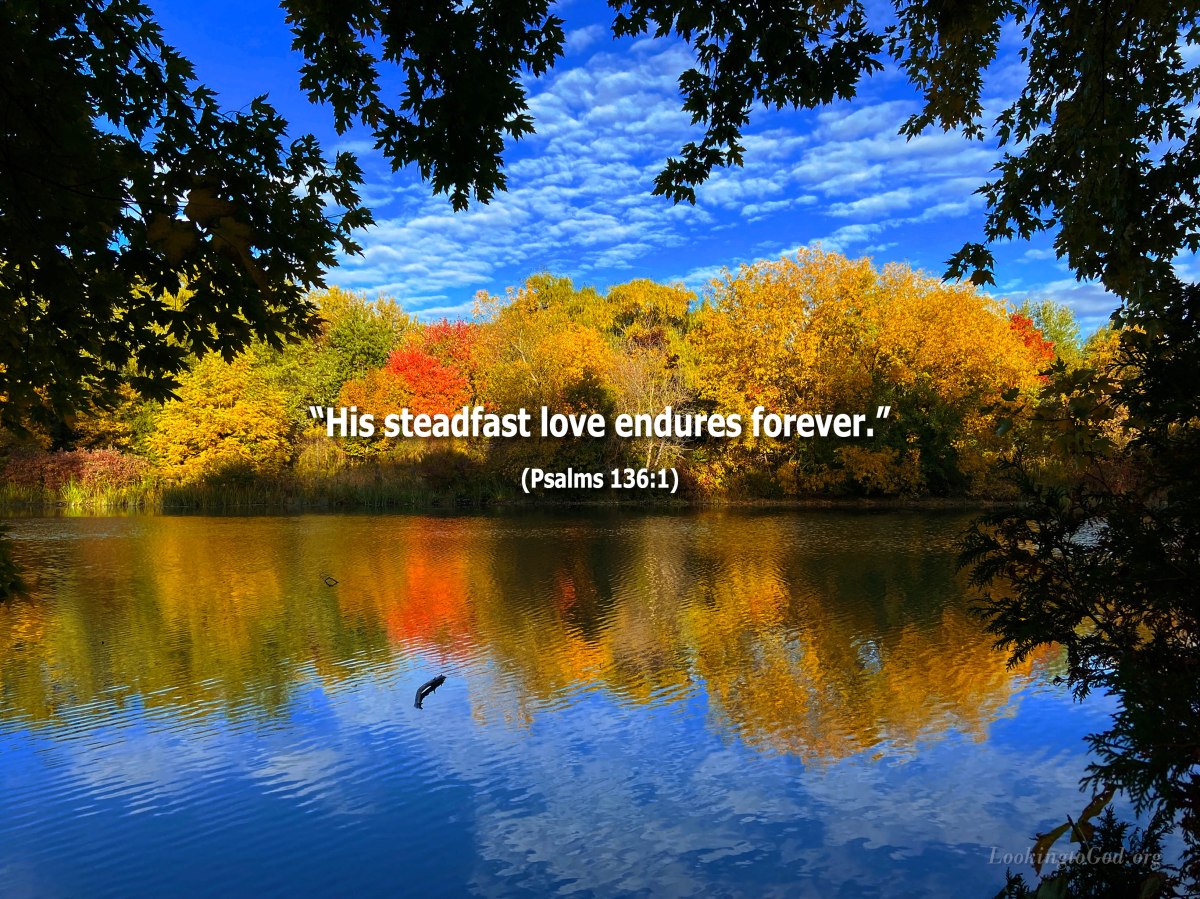 The Lord’s Love Endures Forever – Looking to God