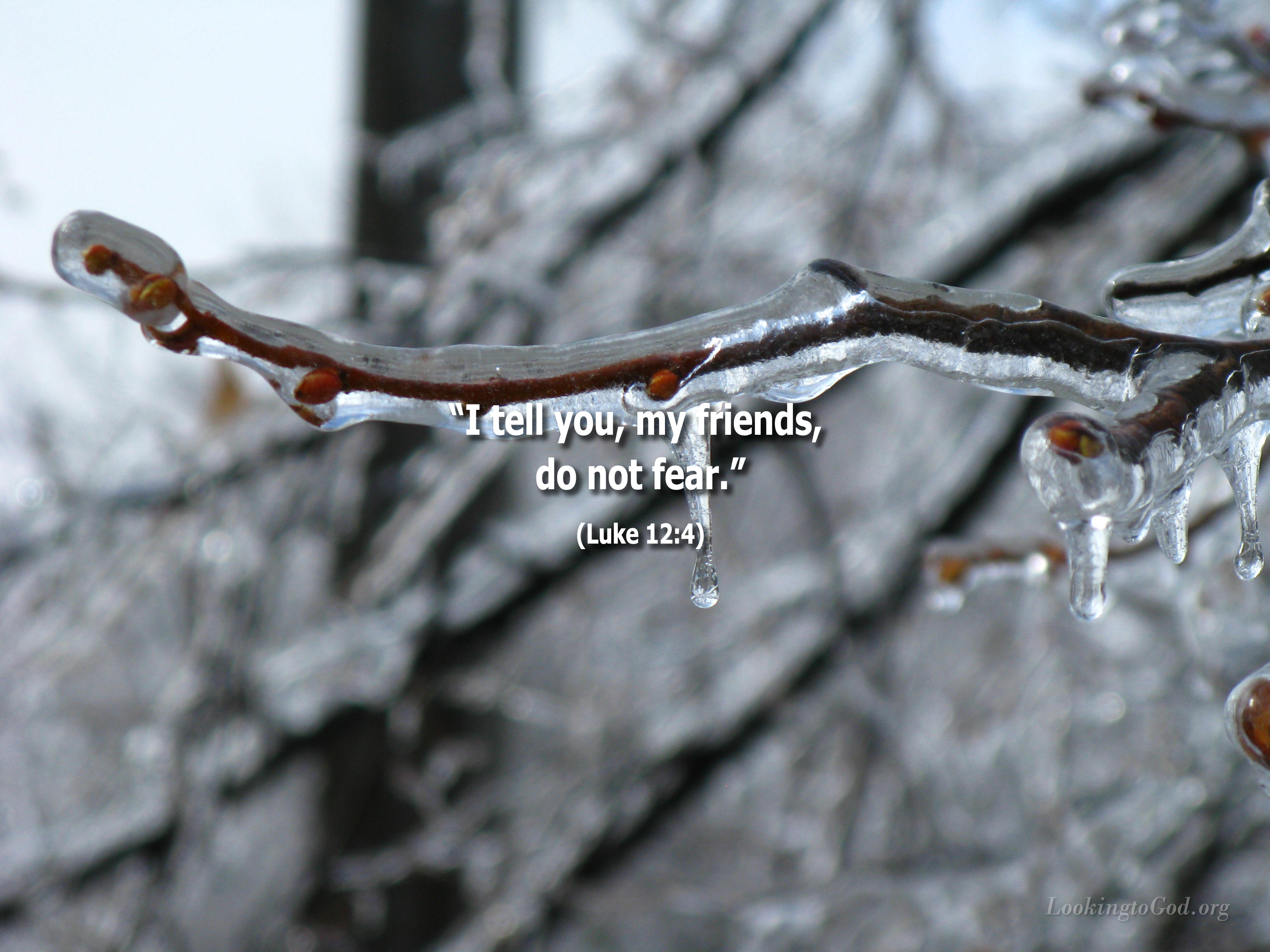 Do Not Fear – Looking to God