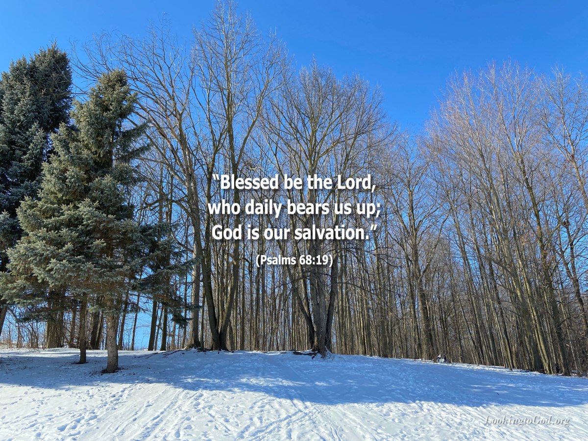 The Lord Is Our Salvation – Looking to God