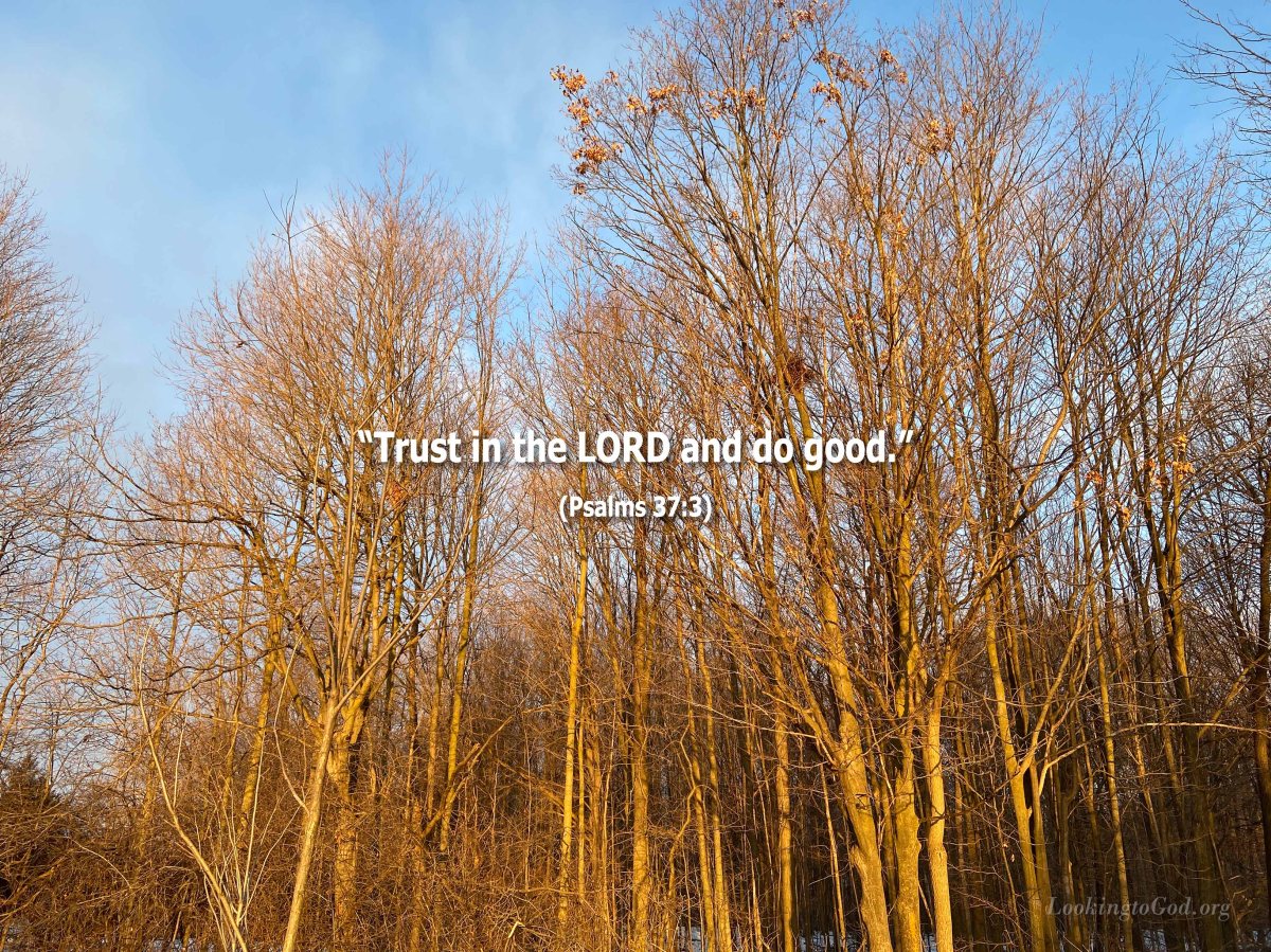 Trust the Lord in All Things – Looking to God