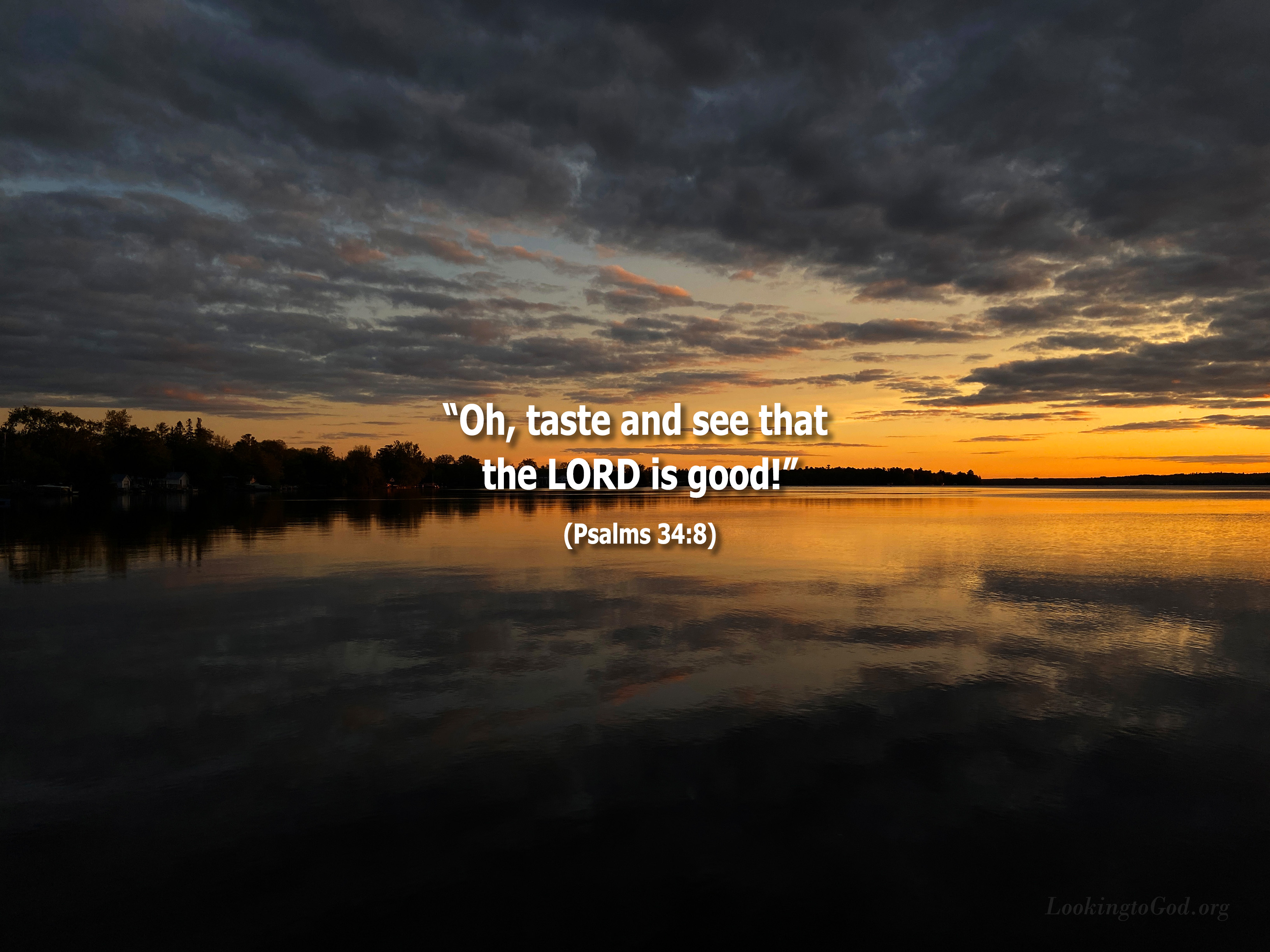 The Lord Is Good – Looking to God