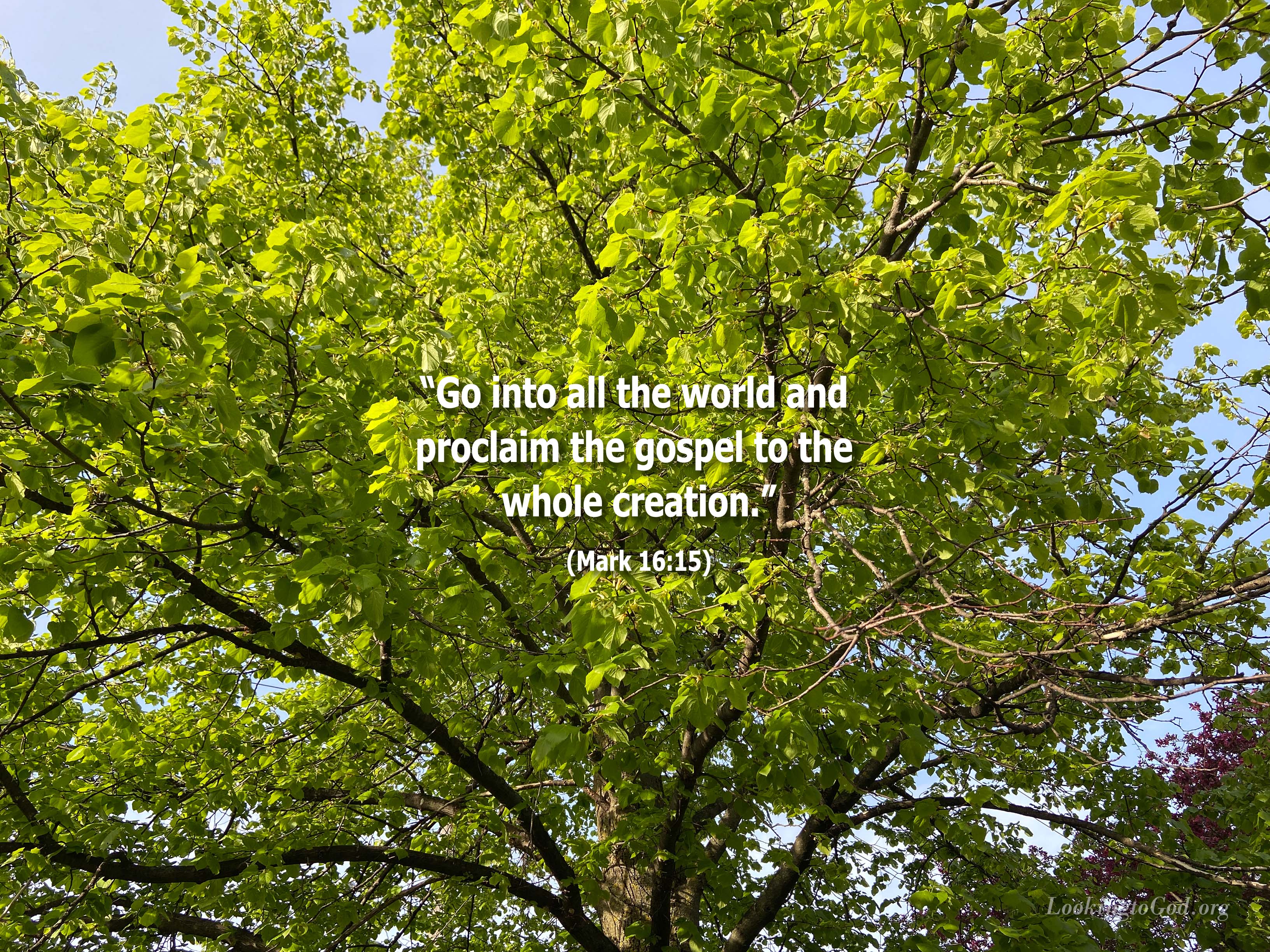 Preach the Gospel to the Whole World – Looking to God