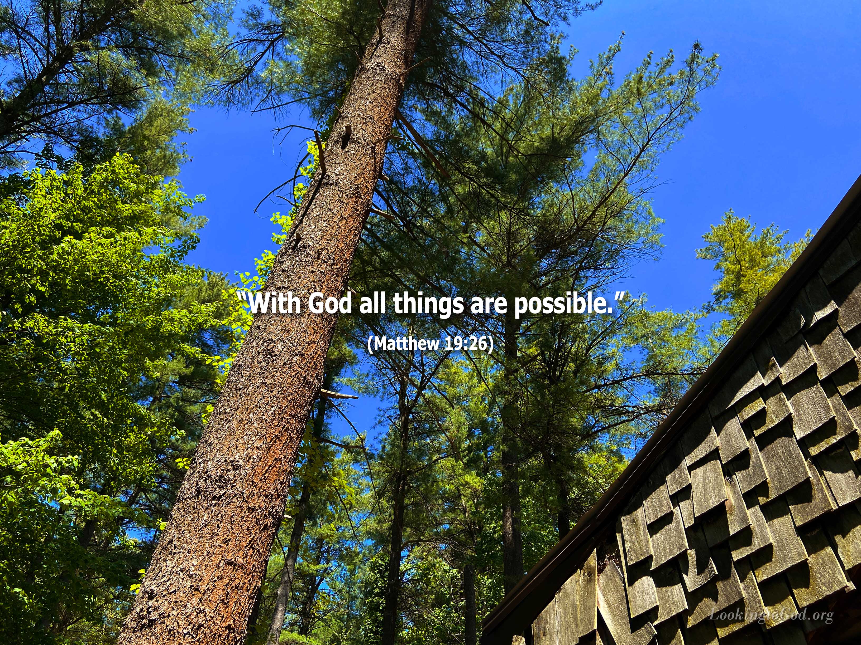 By His Spirit All Things Are Possible – Looking to God