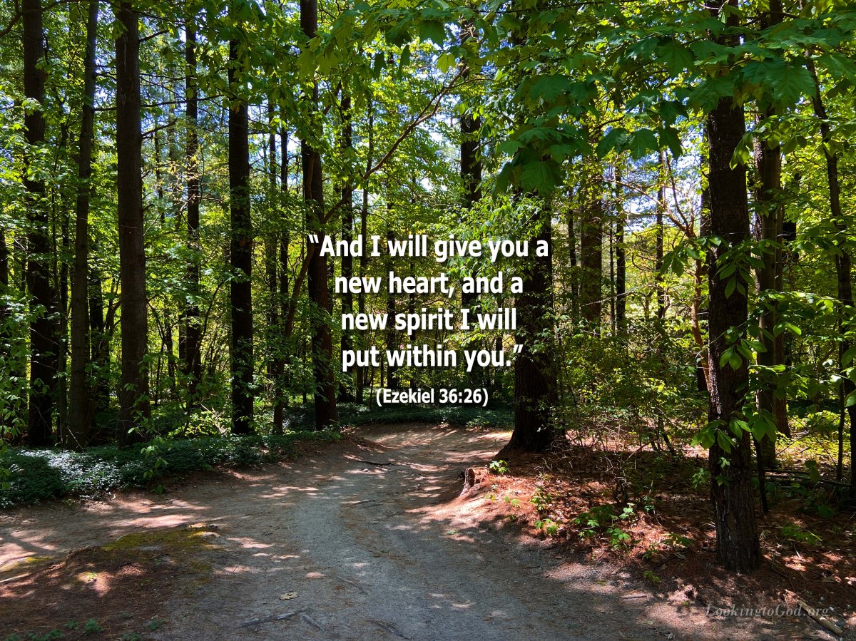 By His Spirit We Are His – Looking to God