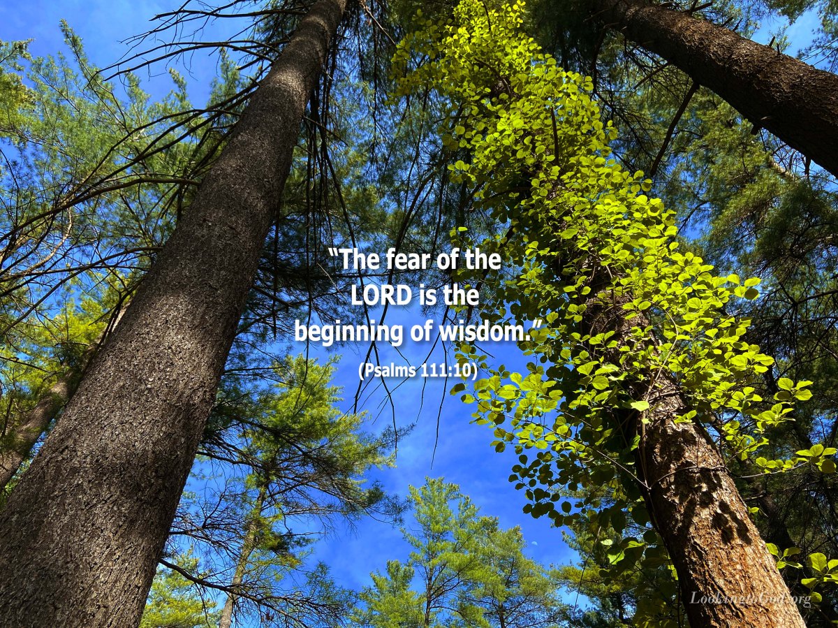 Look to God for Wisdom – Looking to God