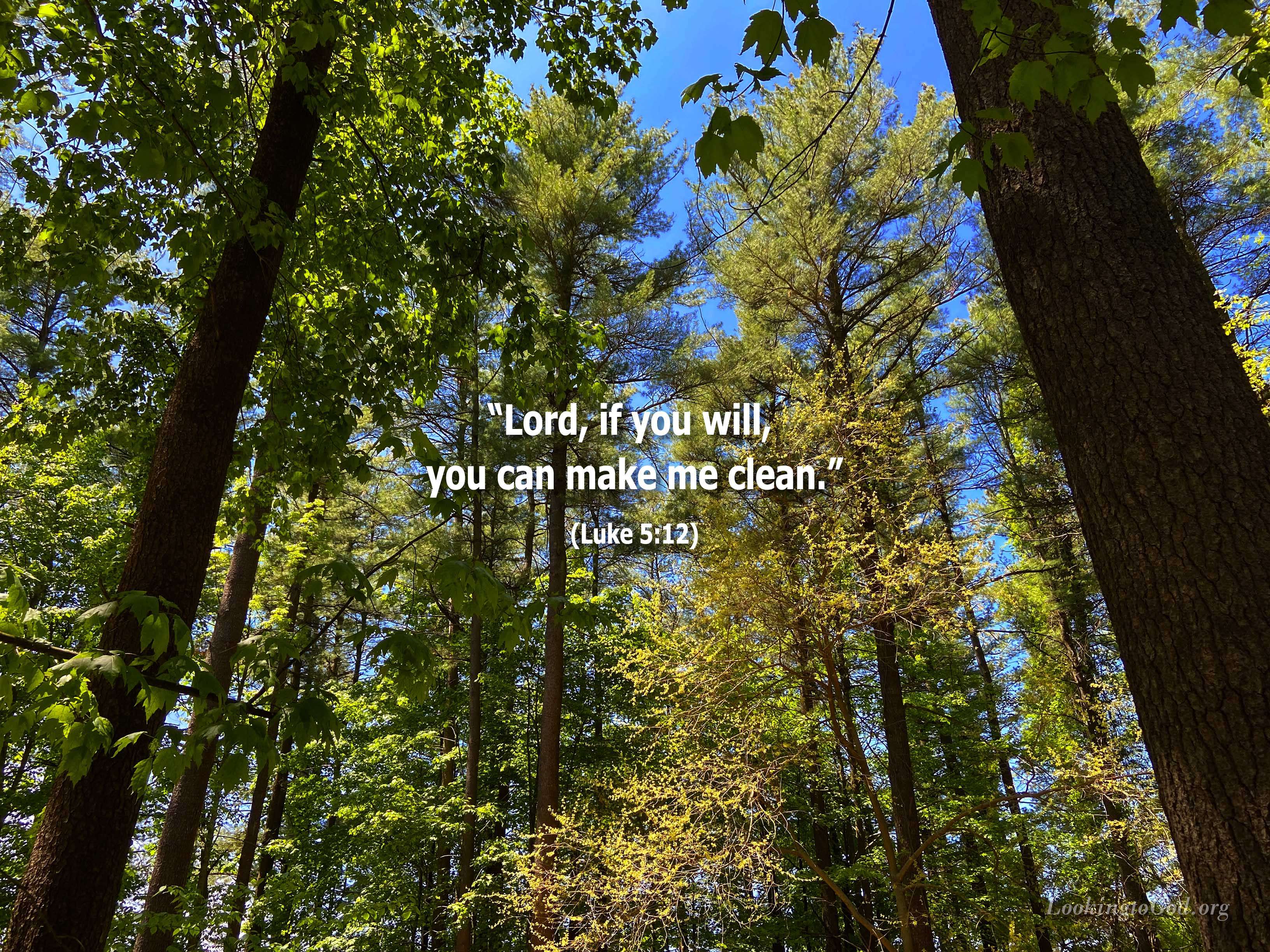 God Heals the Believer – Looking to God