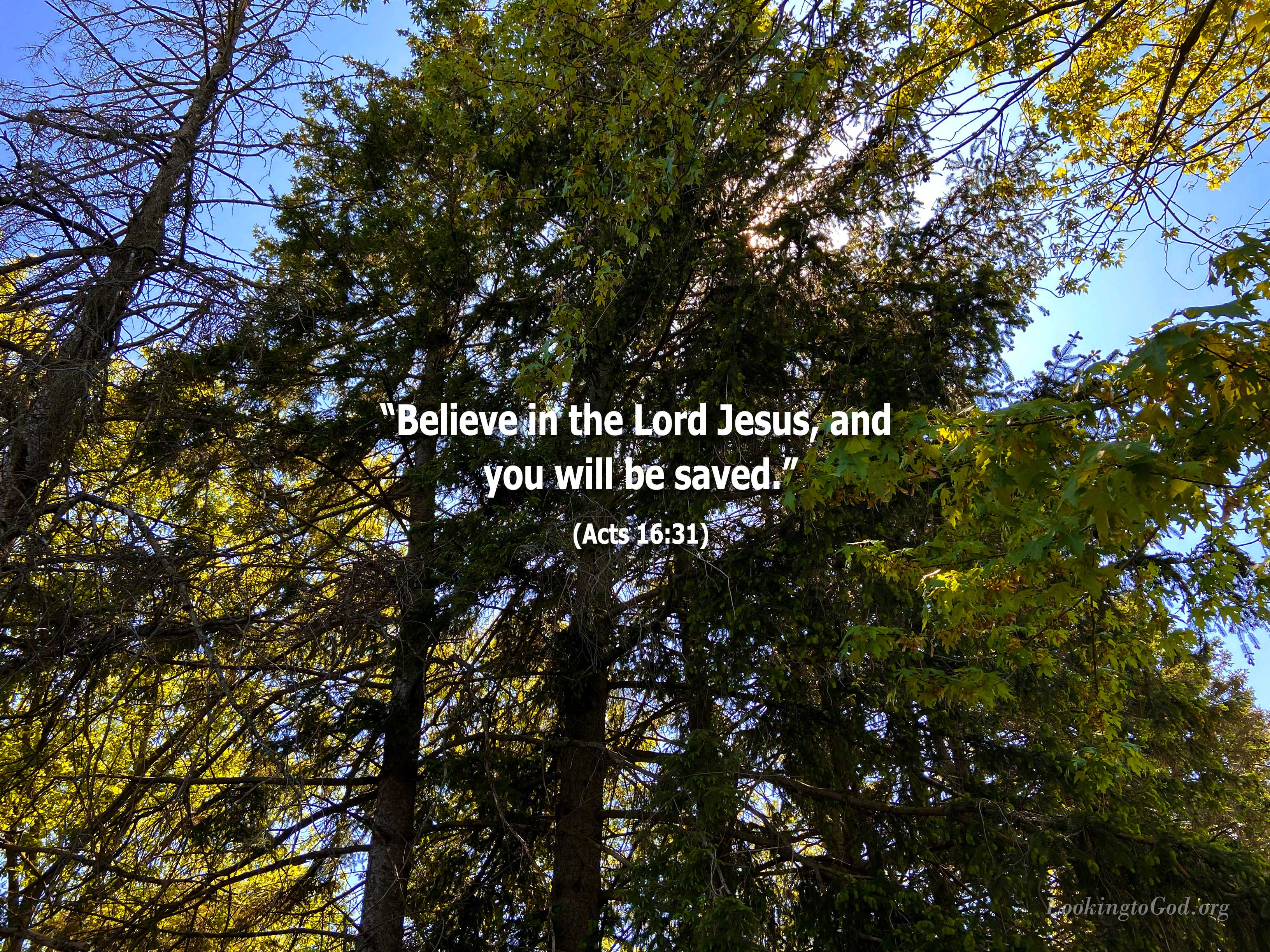 Believe in Jesus – Looking to God