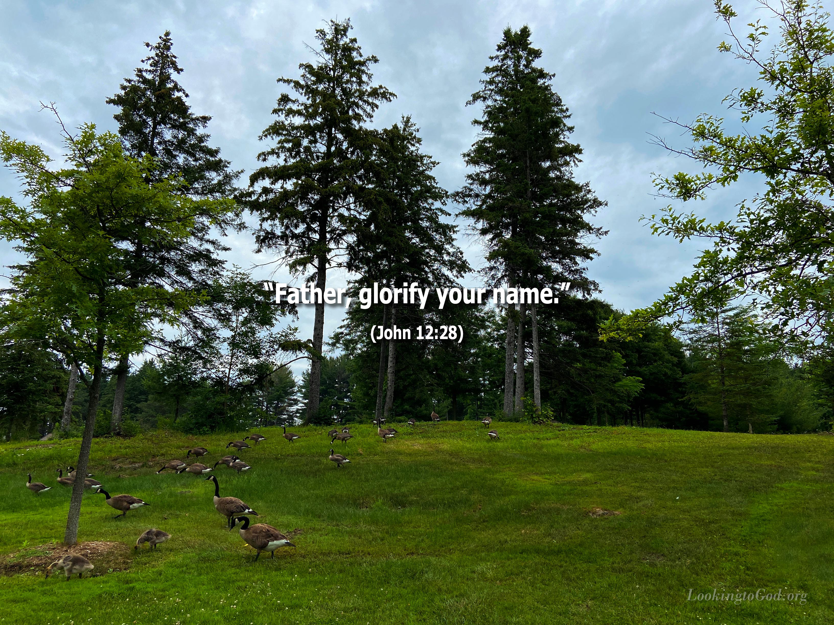 Looking to God – Page 7 – Seek first the kingdom of God and his ...