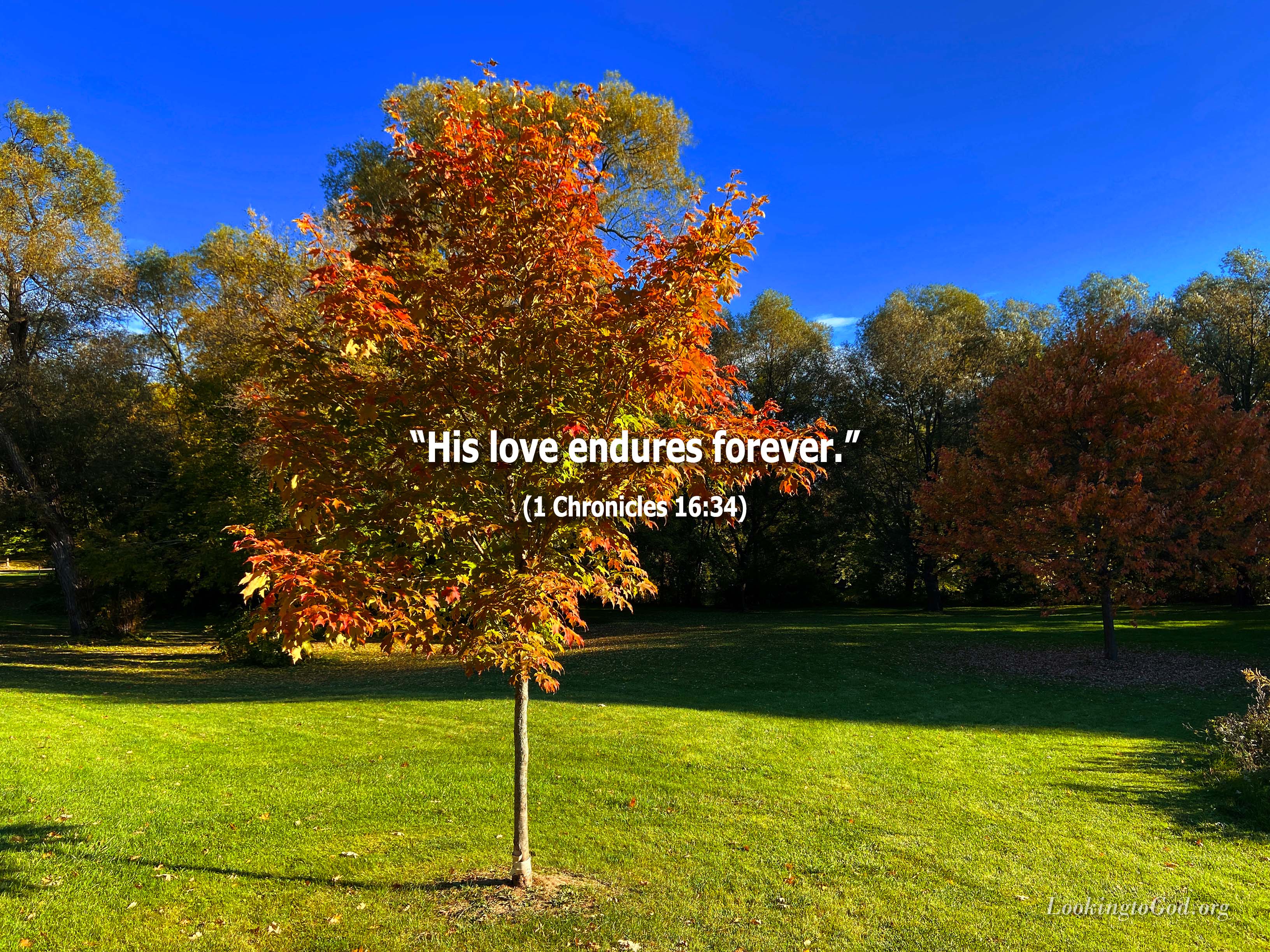 His Love Endures Forever – Looking to God