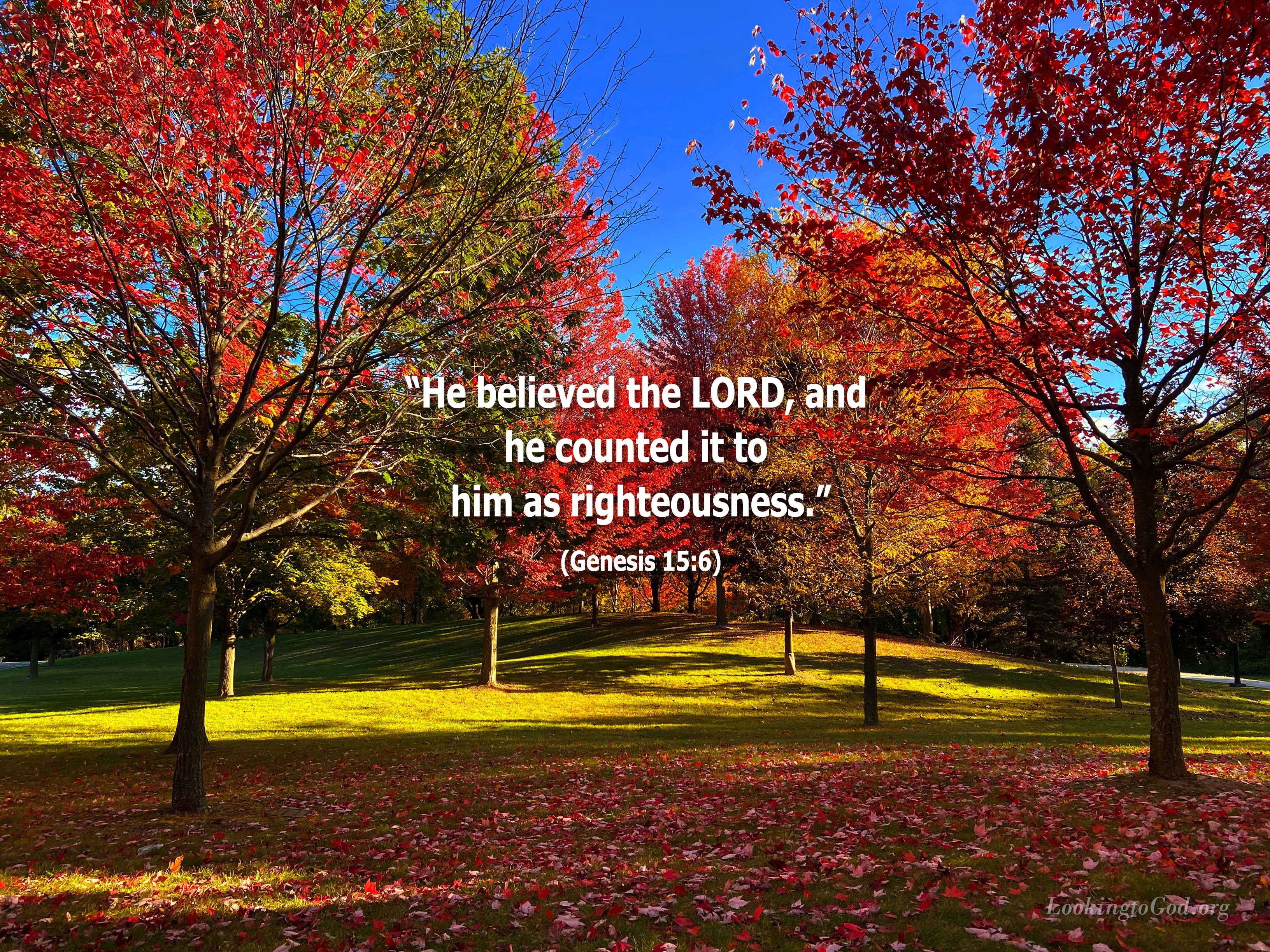 Looking to God – Page 5 – Seek first the kingdom of God and his ...