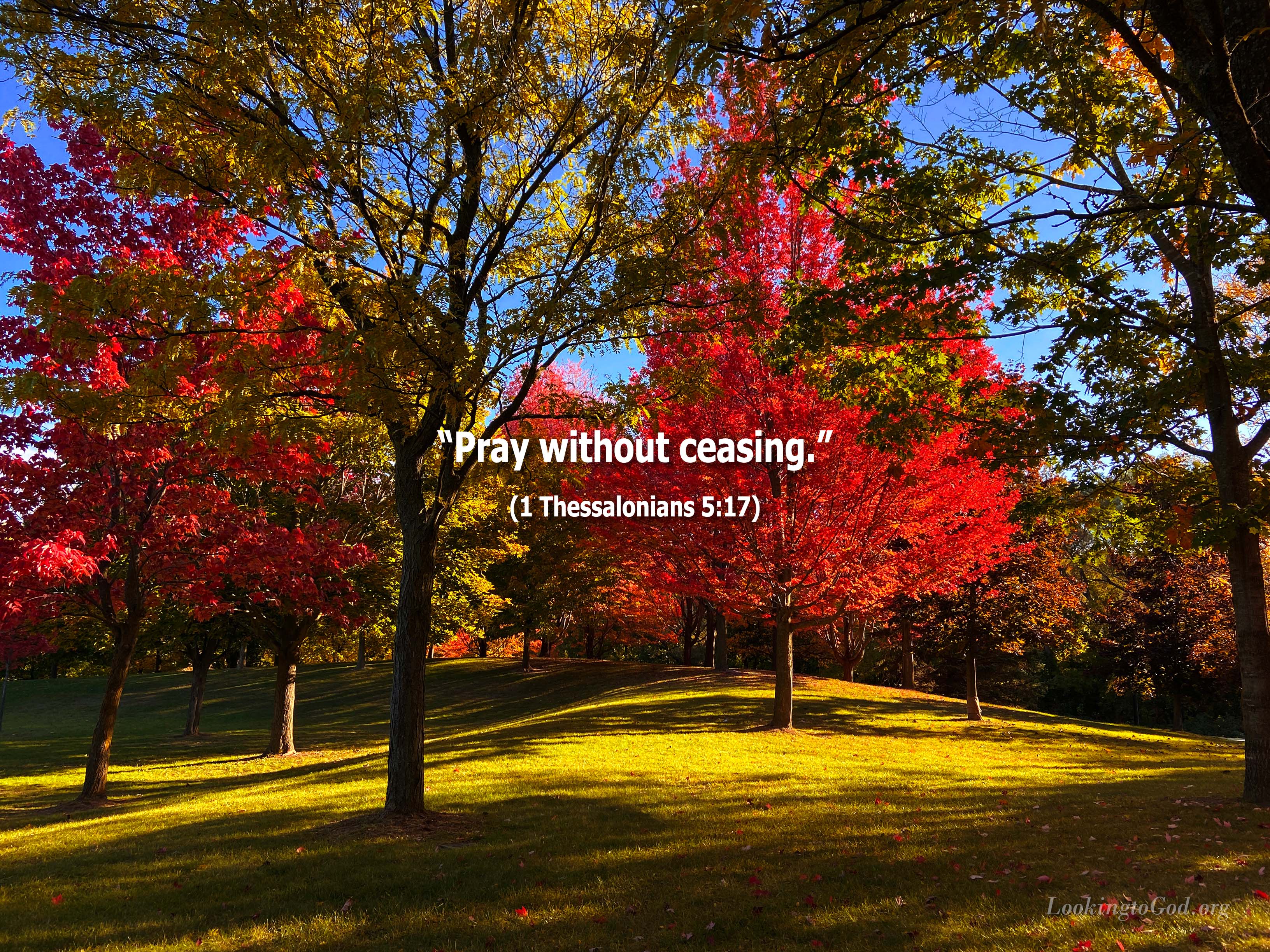 Pray Without Ceasing – Looking to God