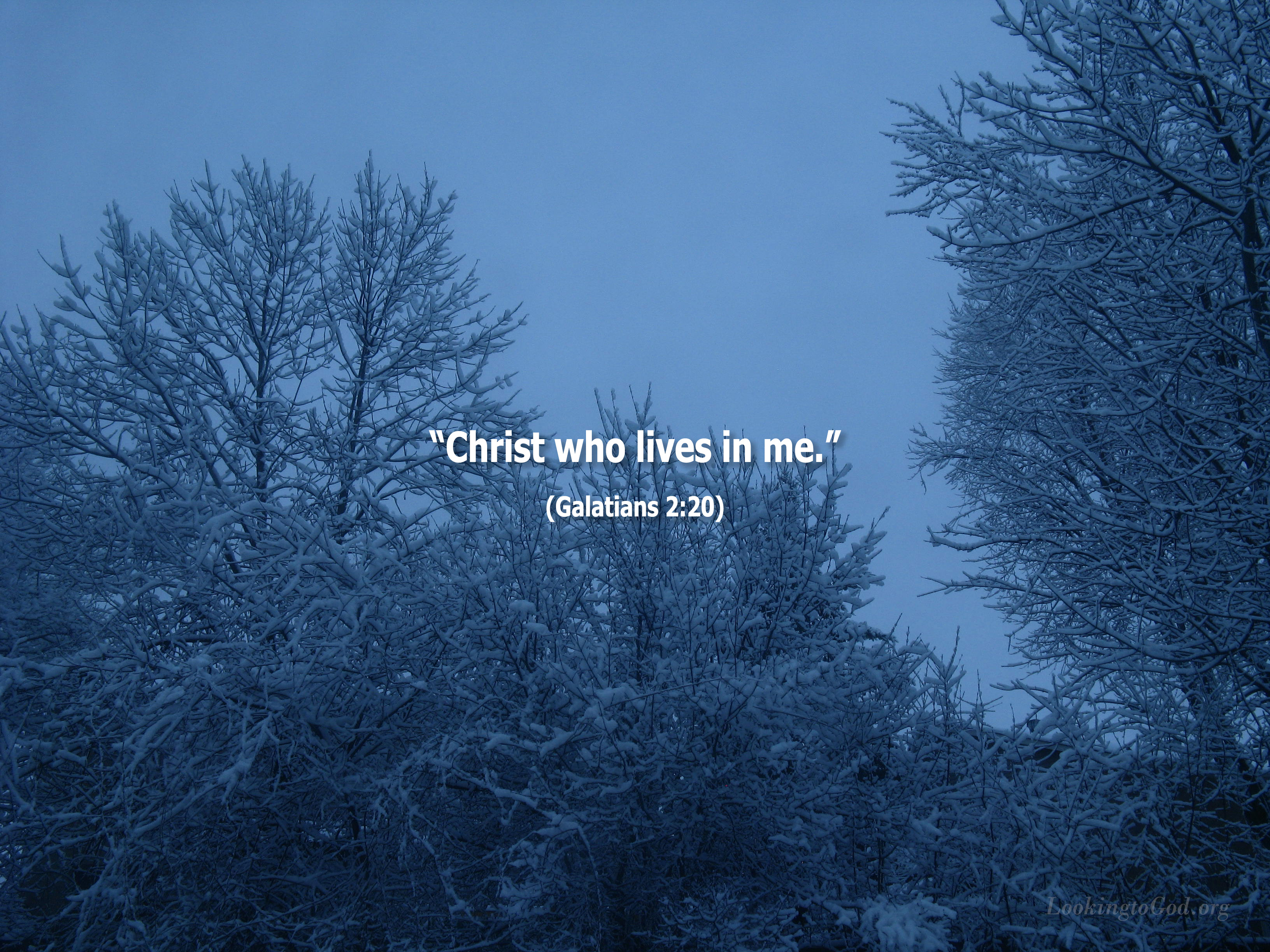 Christ Lives in Us – Looking to God
