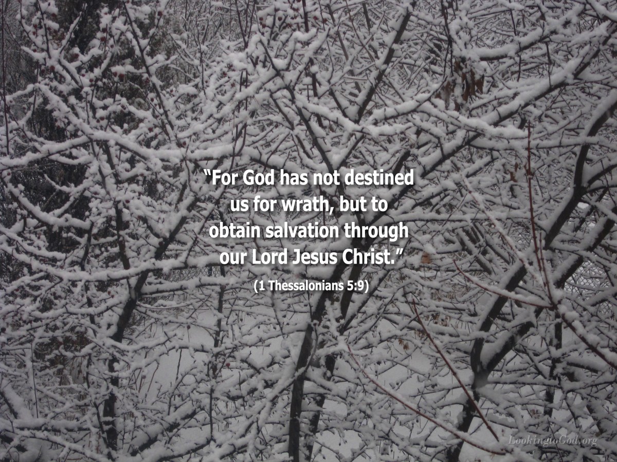 Jesus Is Our Salvation – Looking to God