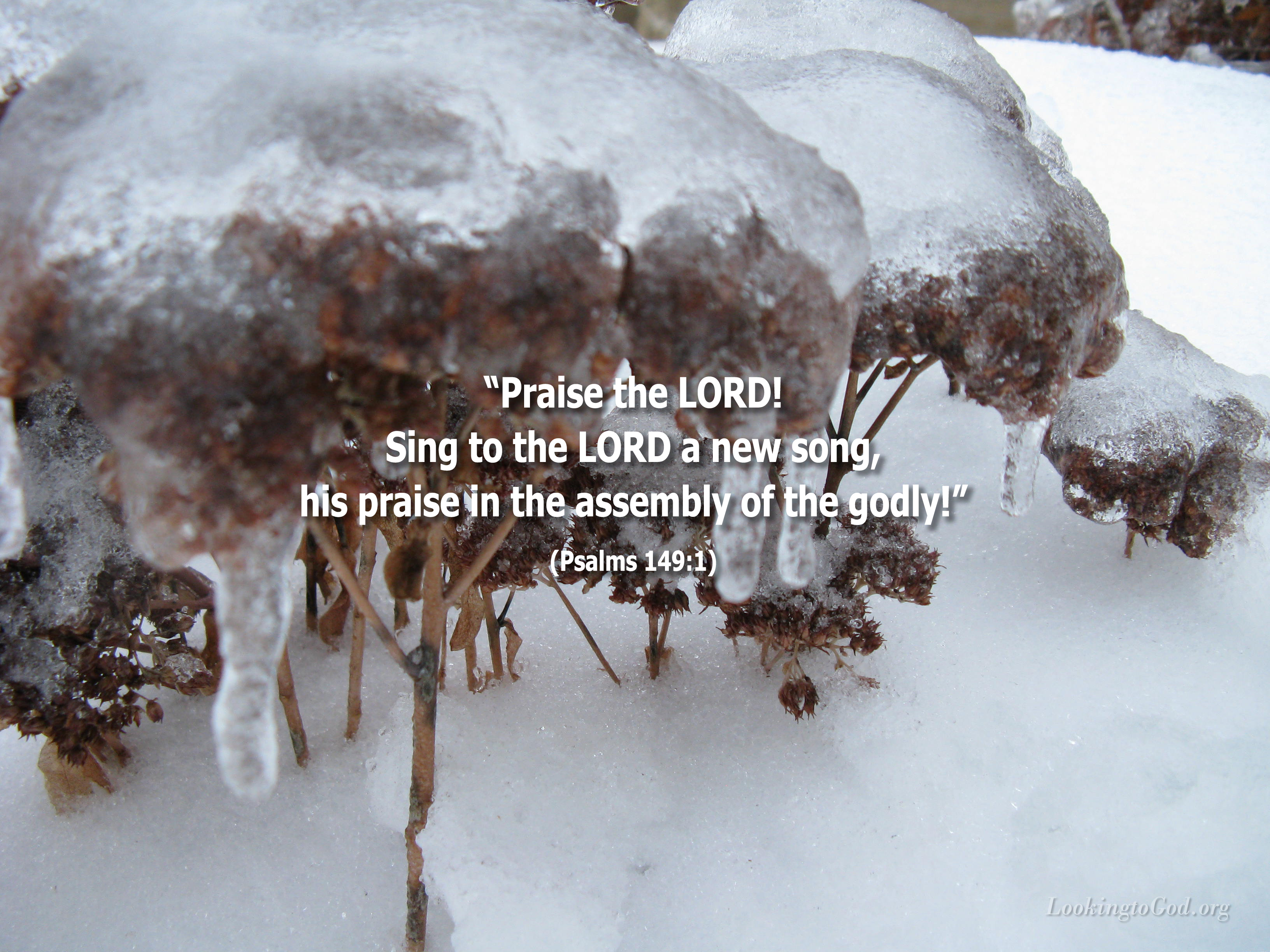 Praise the Lord! – Looking to God