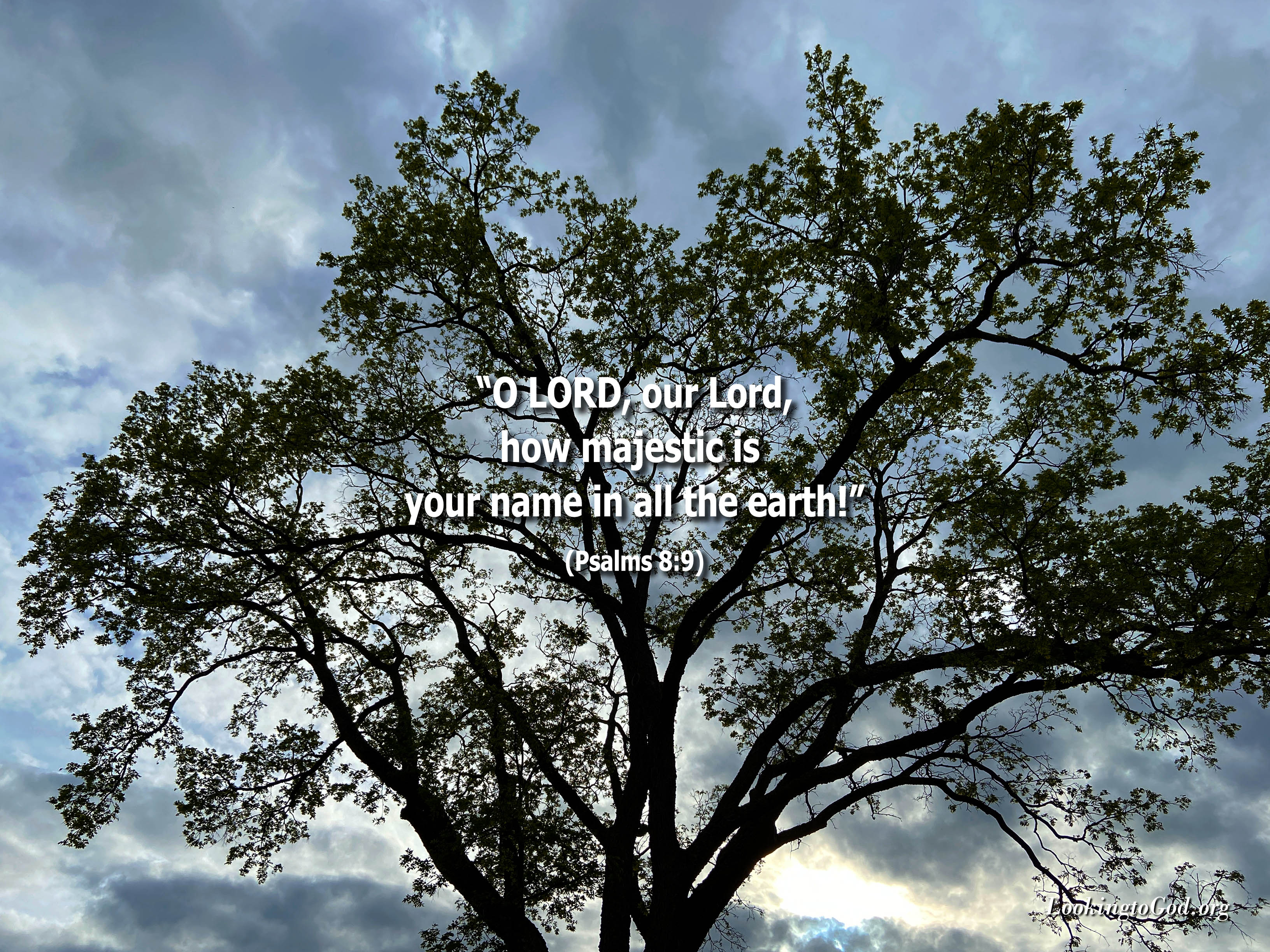 God Will Not Fail Us – Looking to God