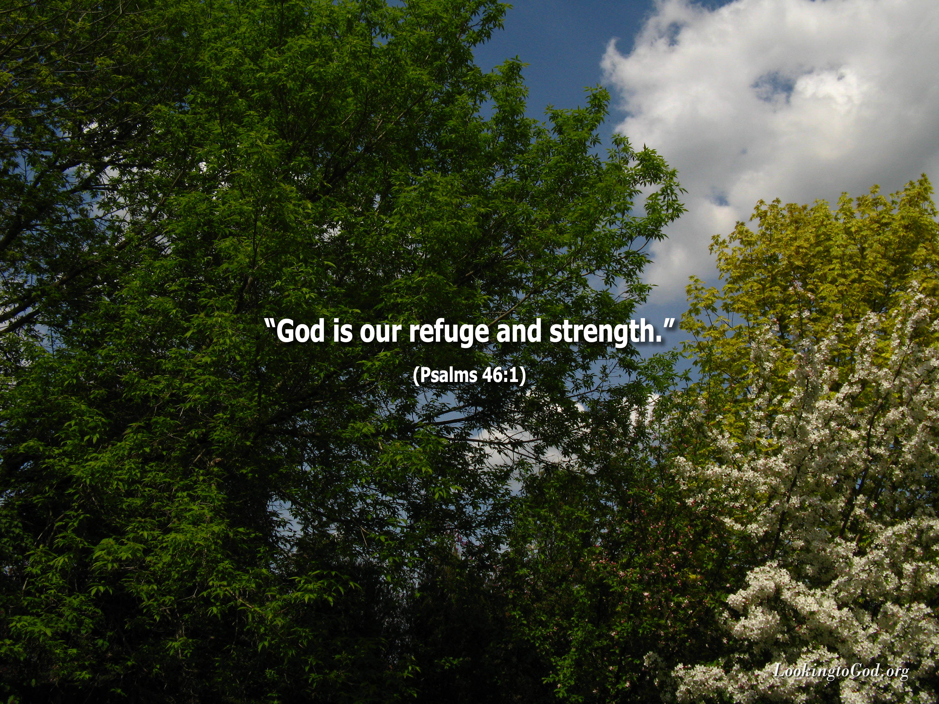 Looking to God – Seek first the kingdom of God and his righteousness ...