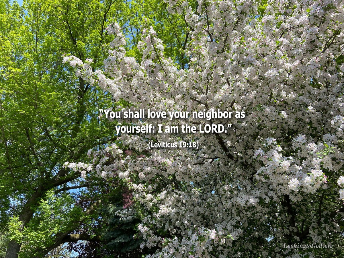 We Shall Love Our Neighbor – Looking to God